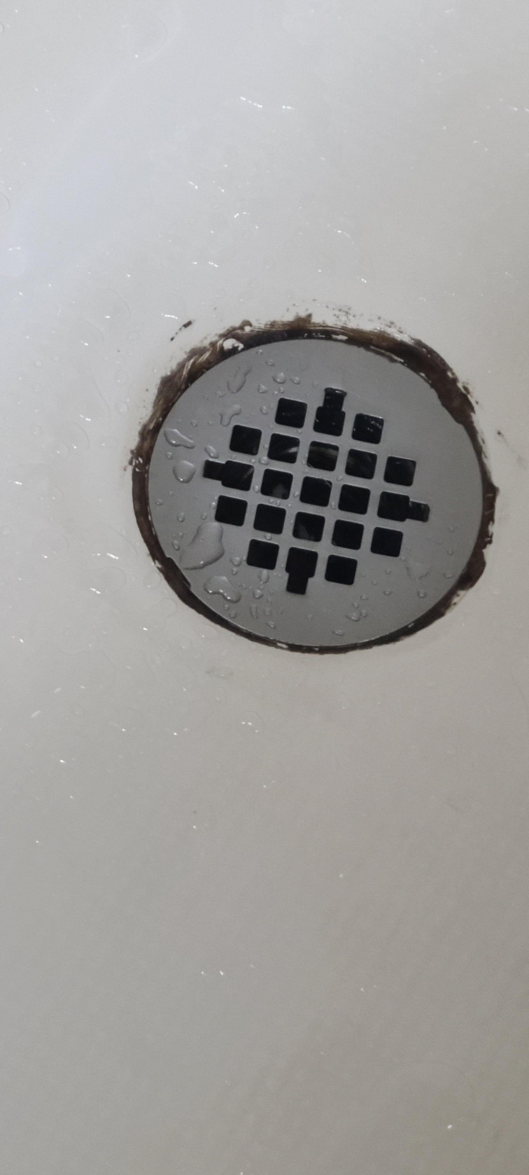 Shower drain