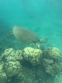 First trip ... freedom Bay