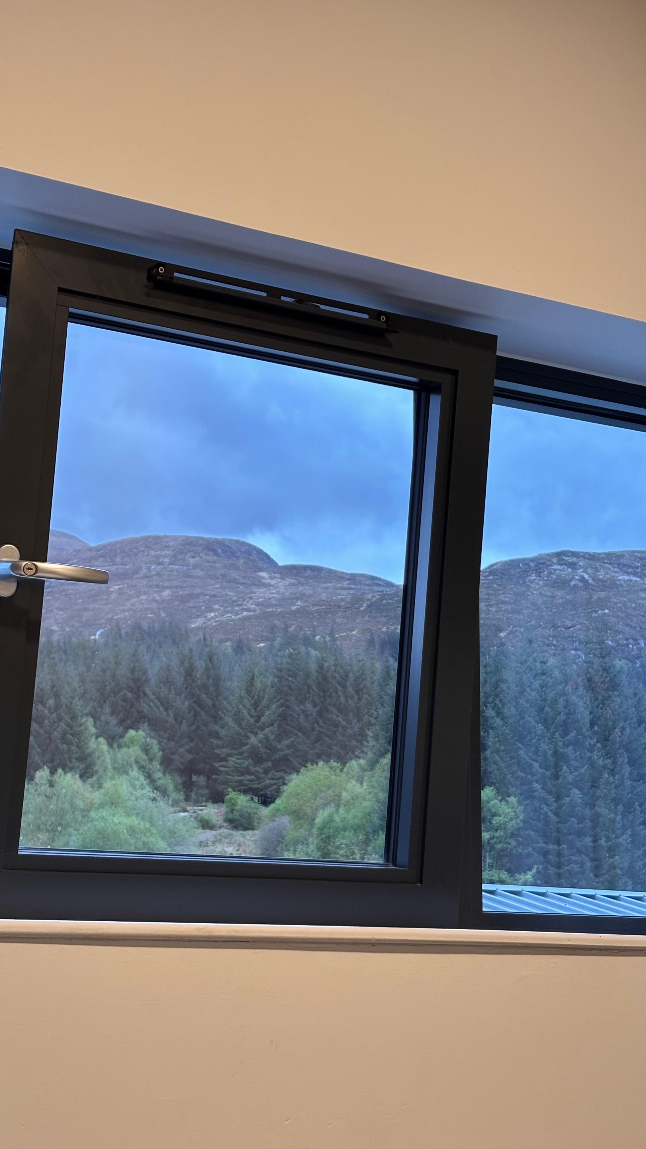 Room with a great view!