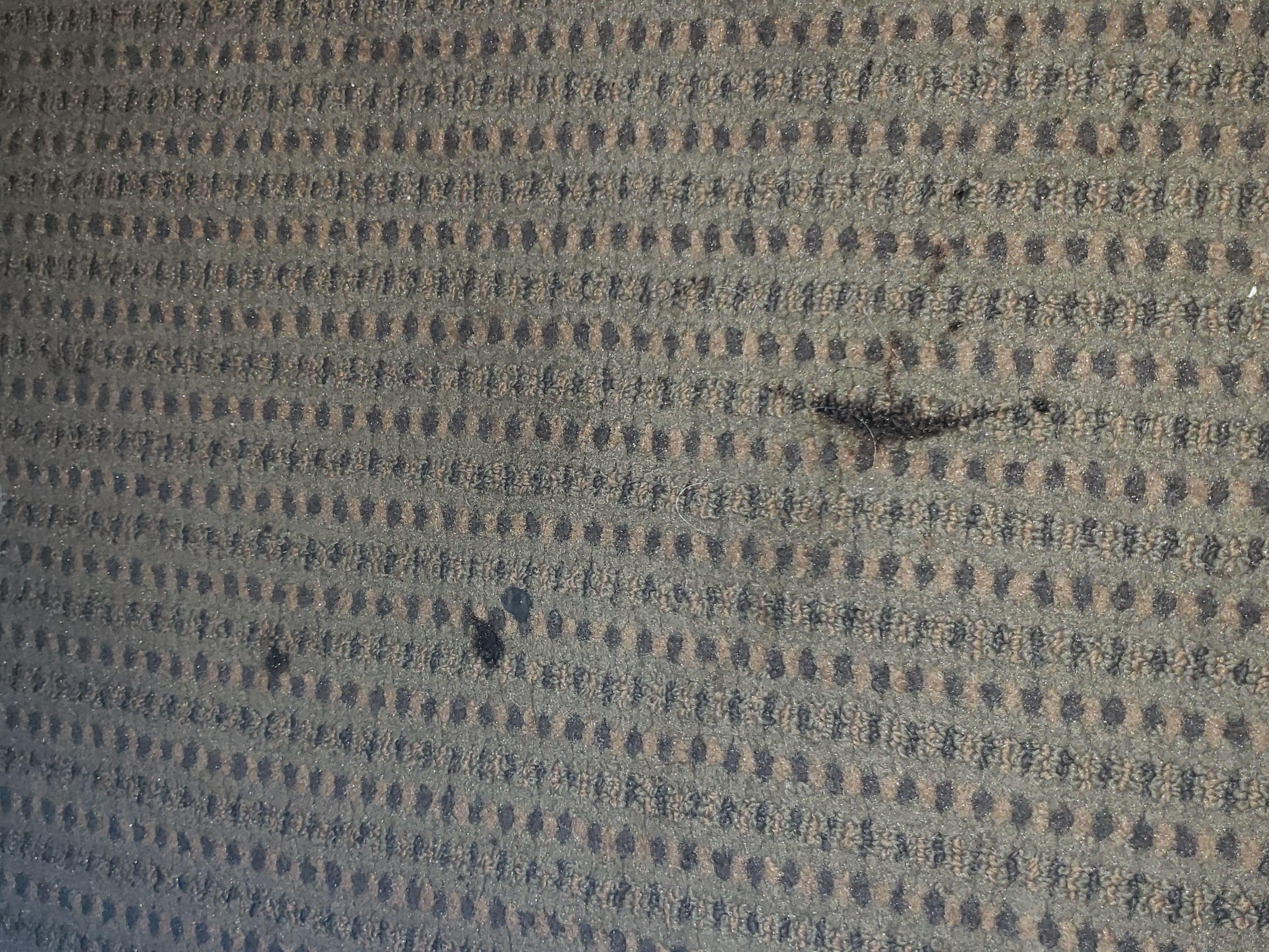 Carpet stain near bed and sink dark red brown looks like blood