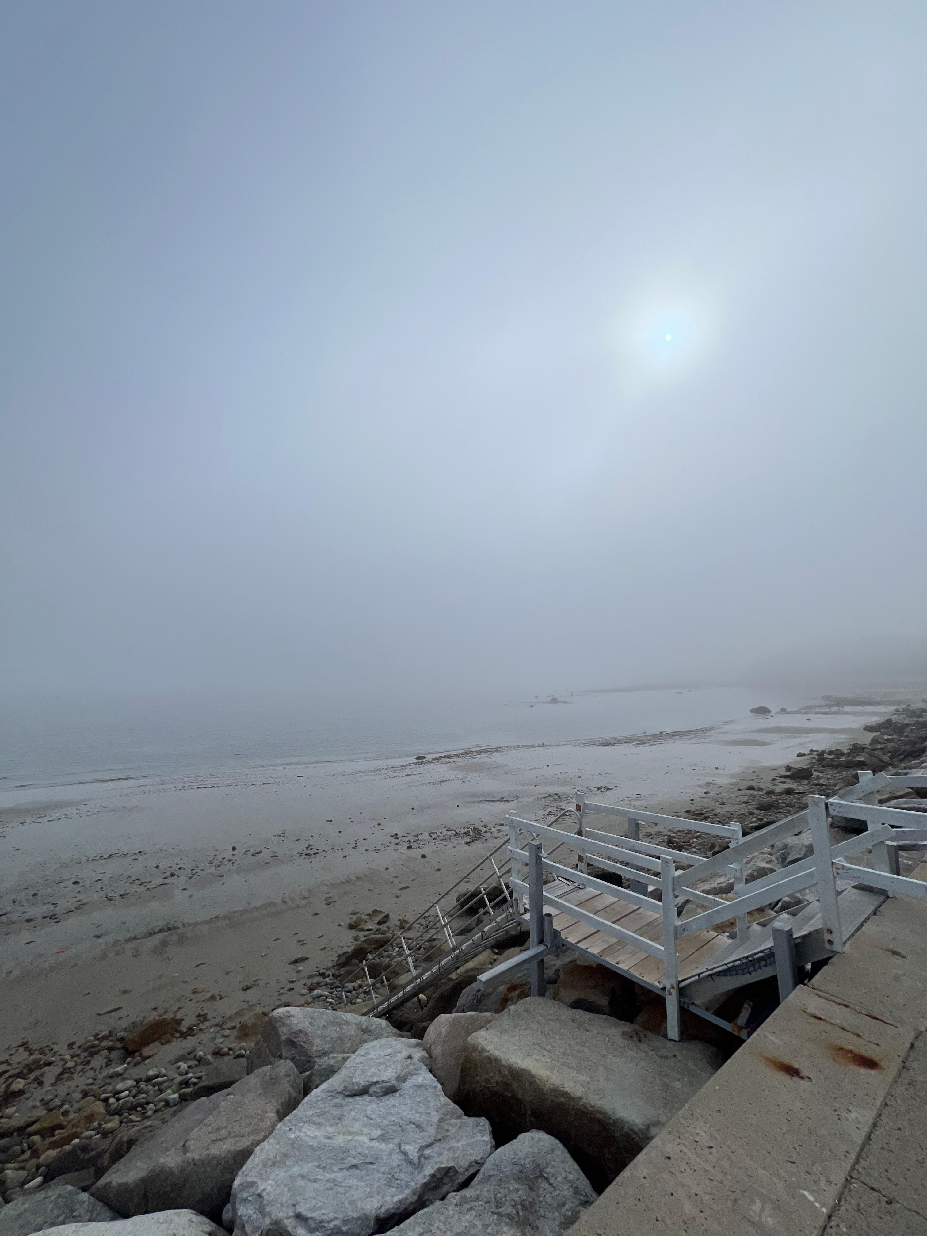 Low tide 
