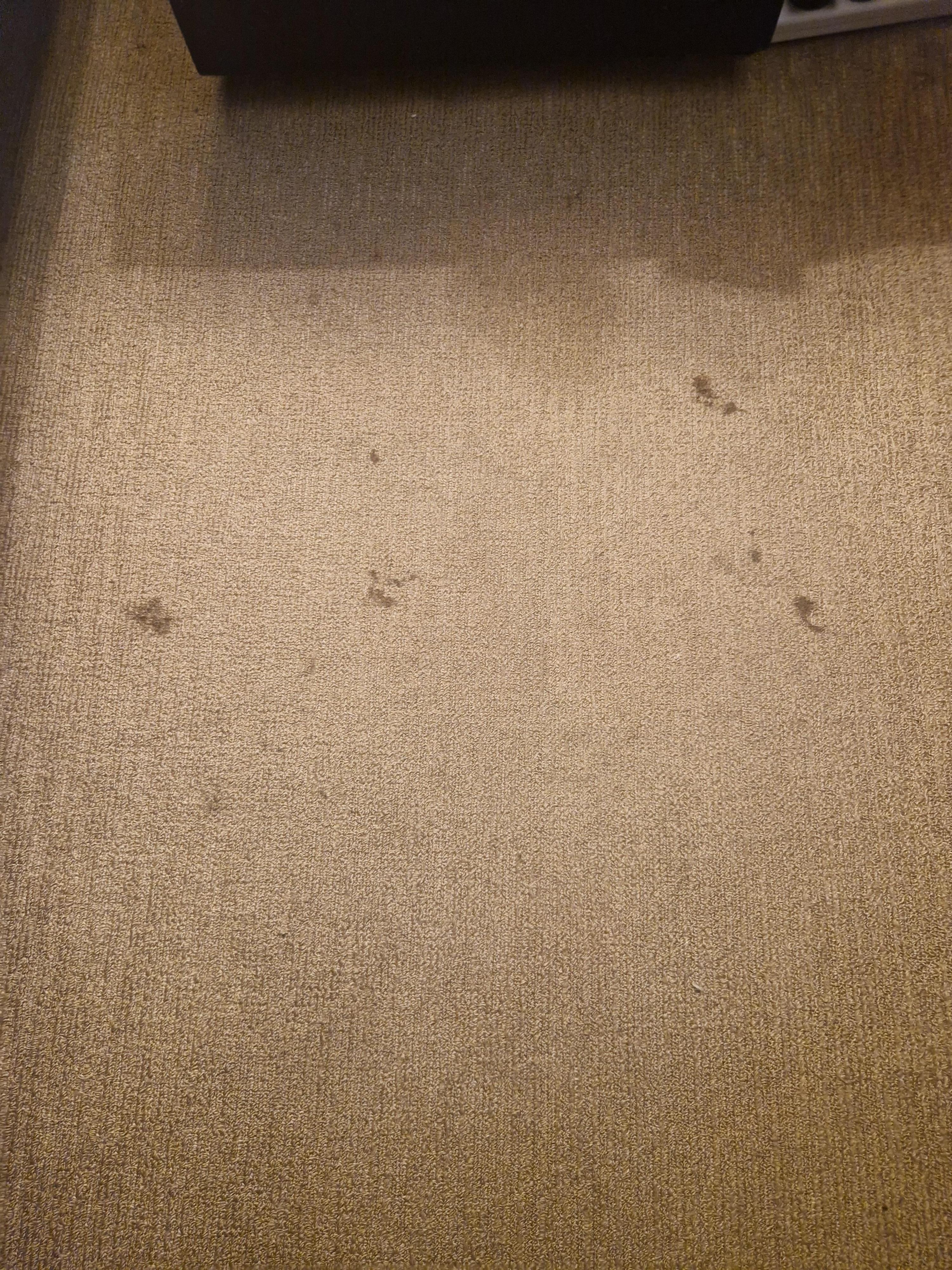 Dirty room carpet