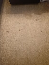 Dirty room carpet
