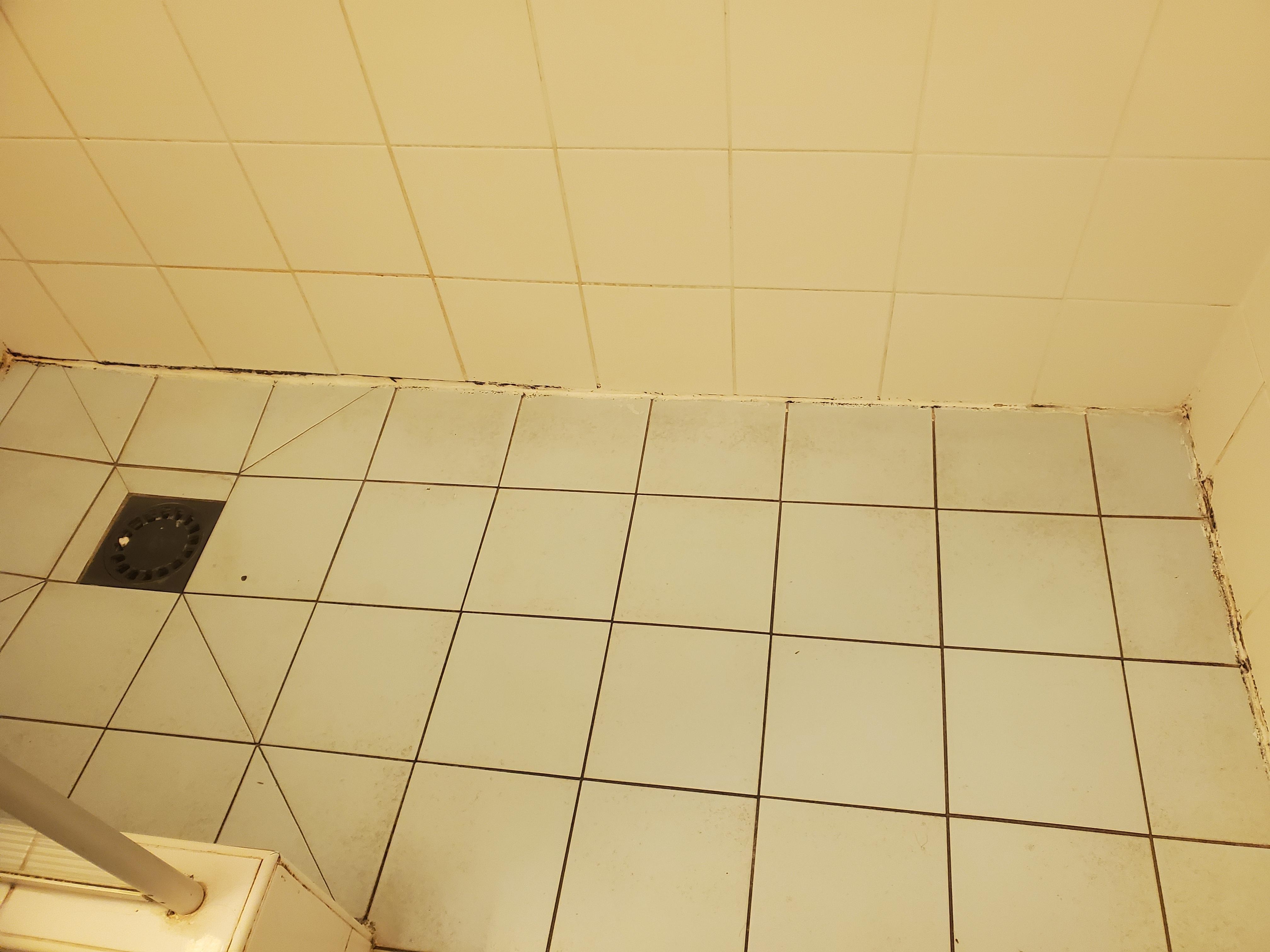 Mold in the bathroom and dirt on the floor. Drain is not a barhroom drain bur a garden one. 