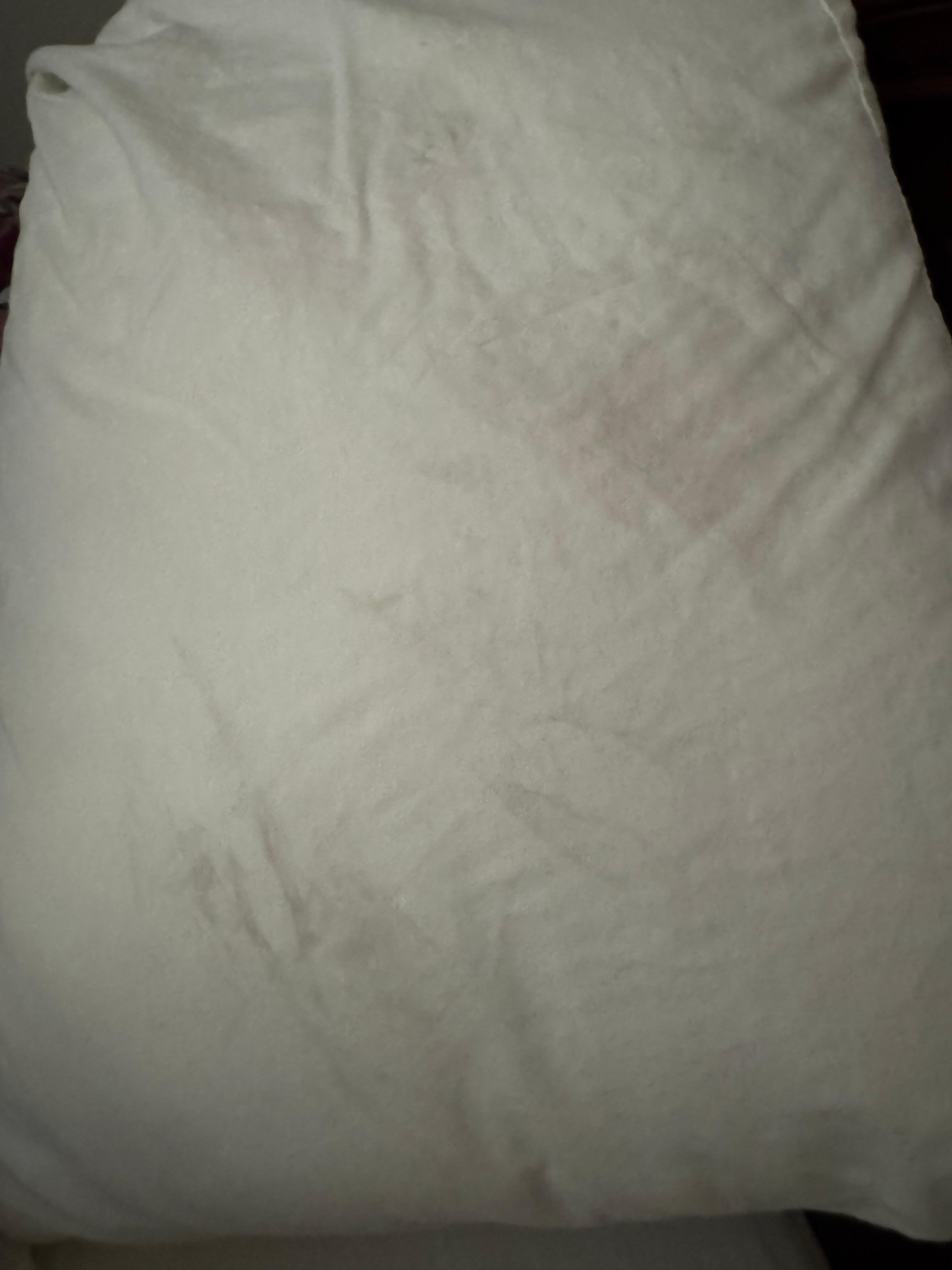 Pillow case (this was one pillow we didn’t even look at the others) went to Walmart and bought our own with blankets and slept on top of the comforter.