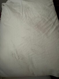 Pillow case (this was one pillow we didn’t even look at the others) went to Walmart and bought our own with blankets and slept on top of the comforter.