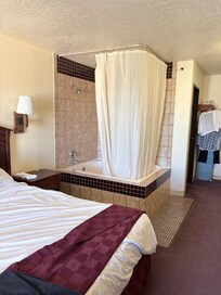 The hot tub/bath/shower sits next to the bed on a yucky carpet.