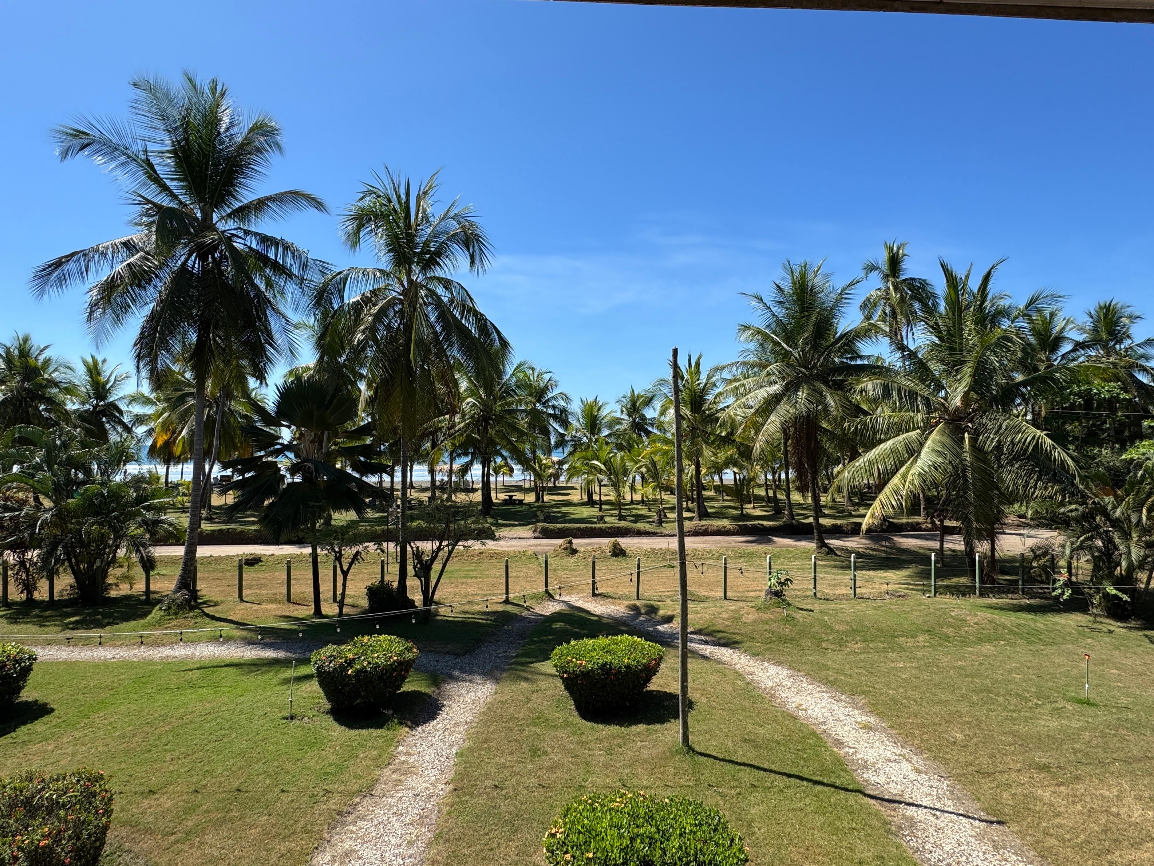 Blick vom Balkon/Terrasse