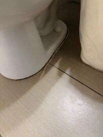 caulking and seals molded