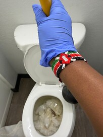 Had to plunge toilet myself