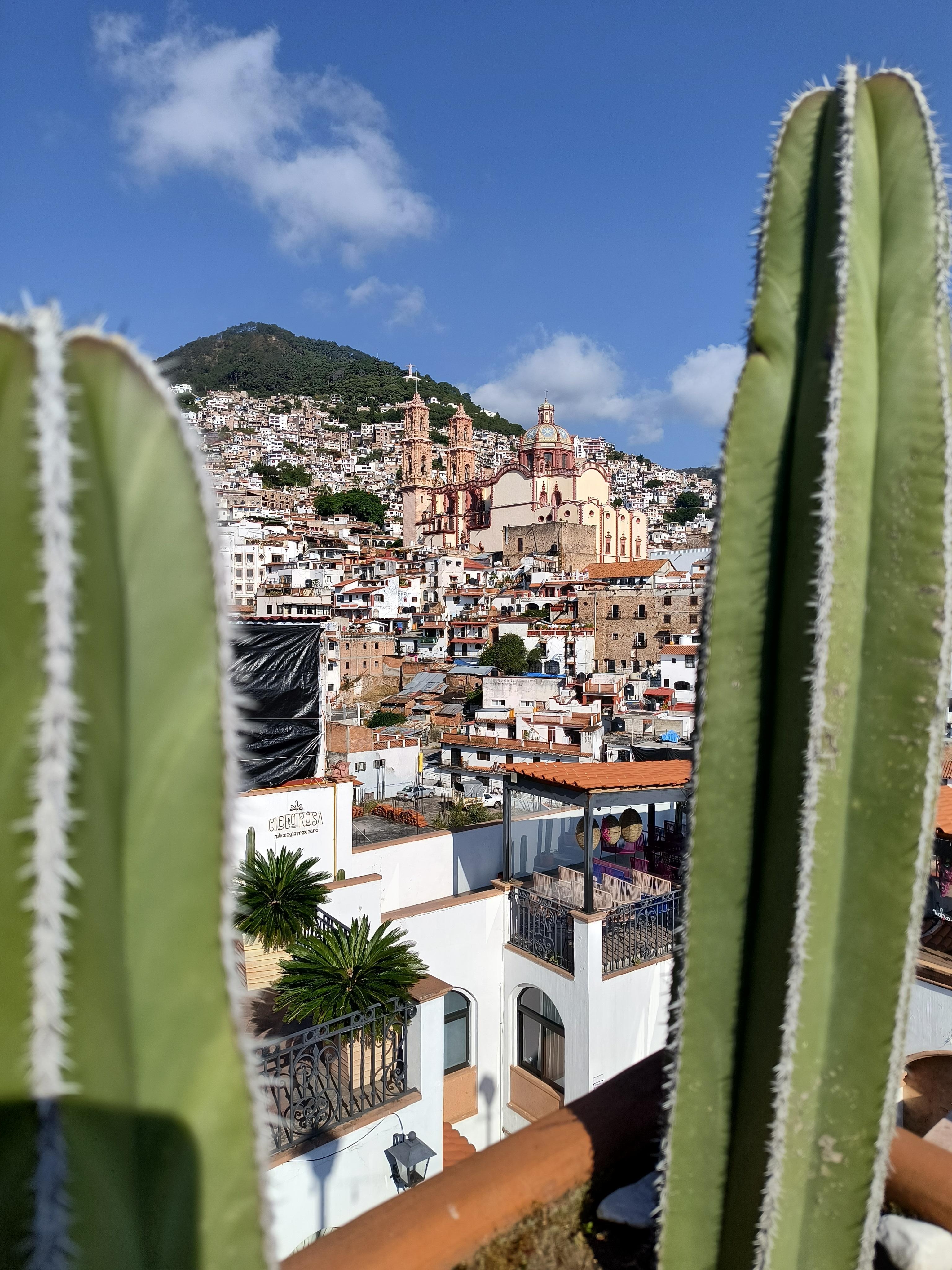 View from restaurant terrace
