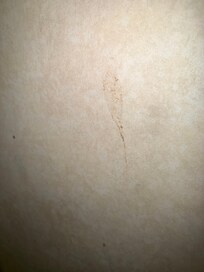 Something on the wall.