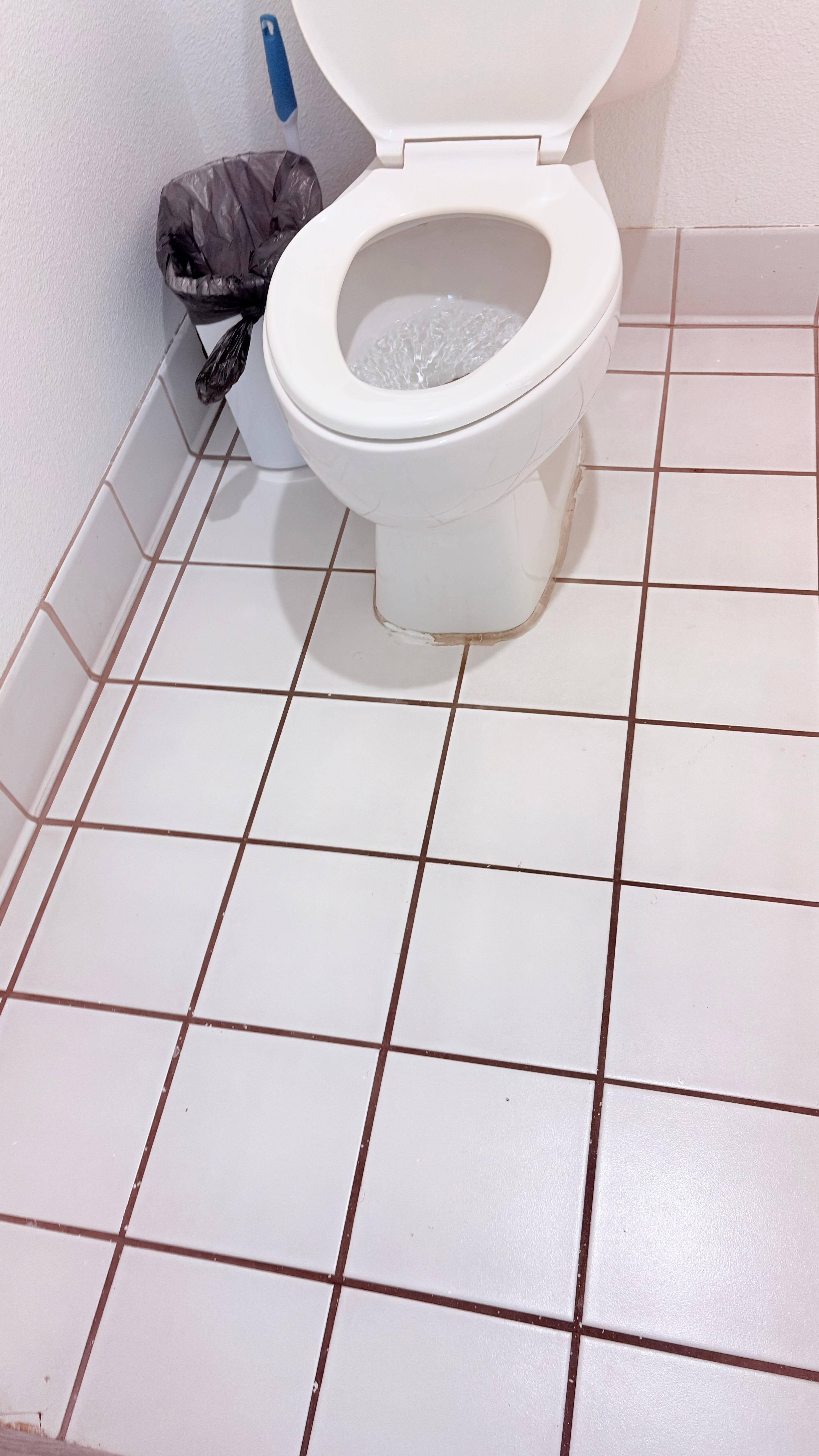 Doesn’t flush all the way