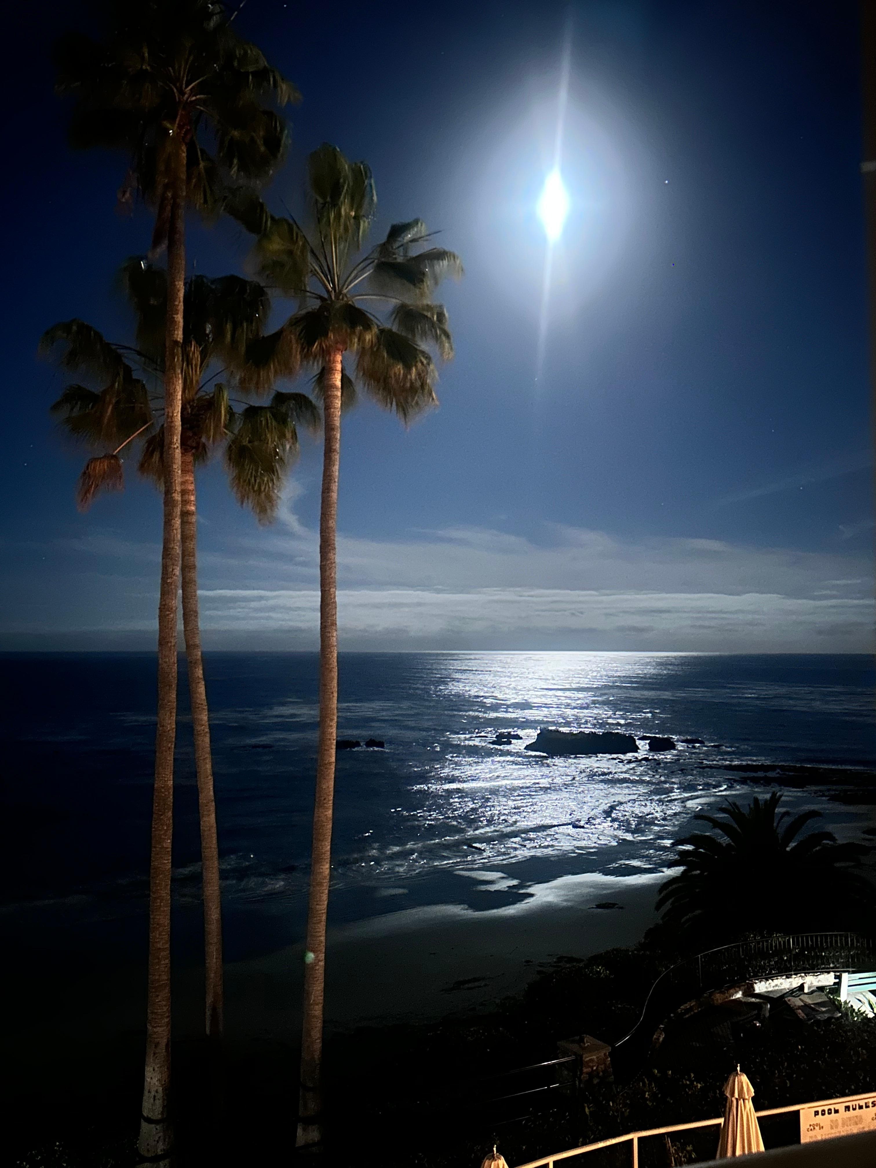 Beautiful shot of the moon shining off the ocean 