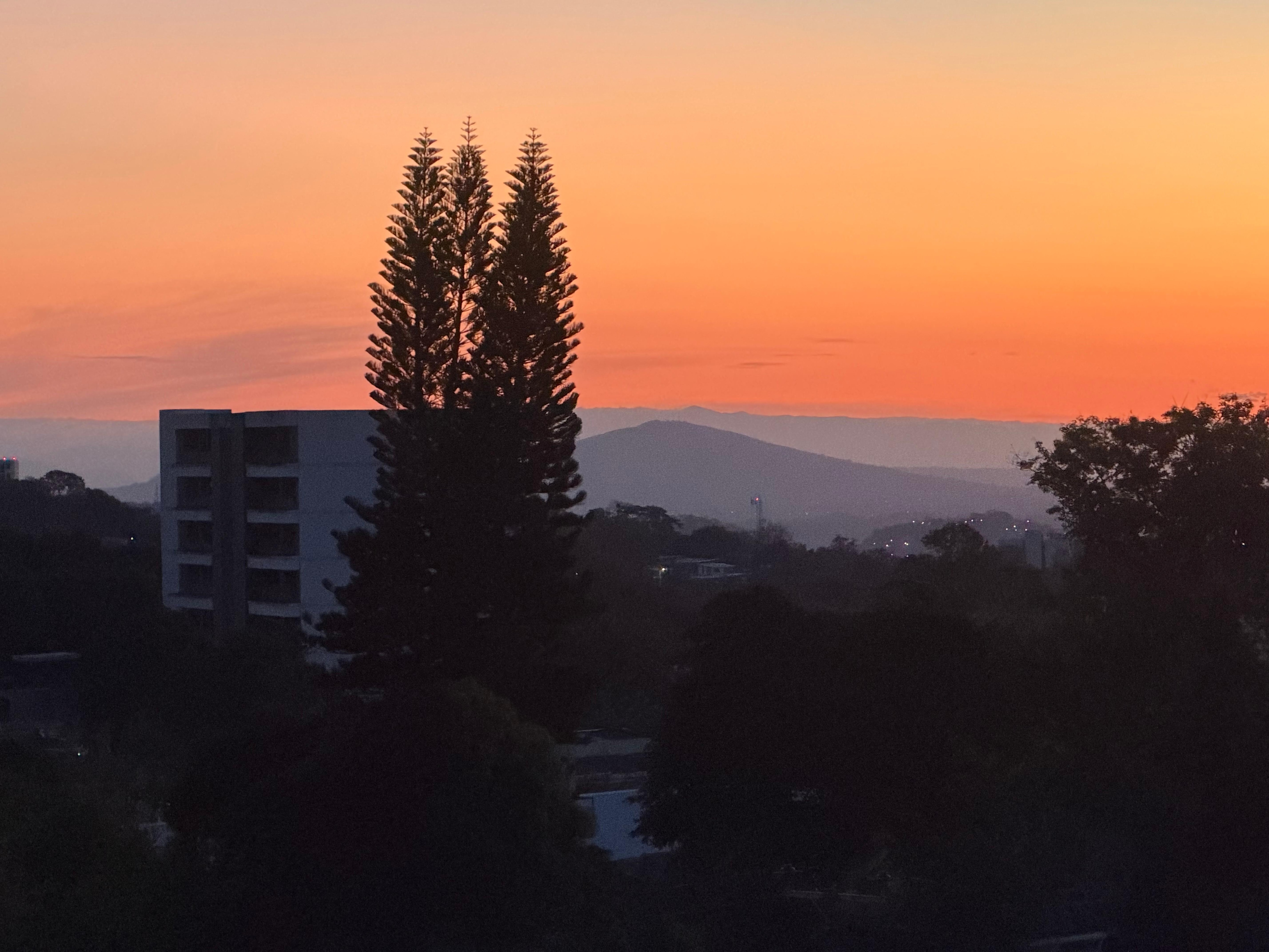 A beautiful view from my window. 