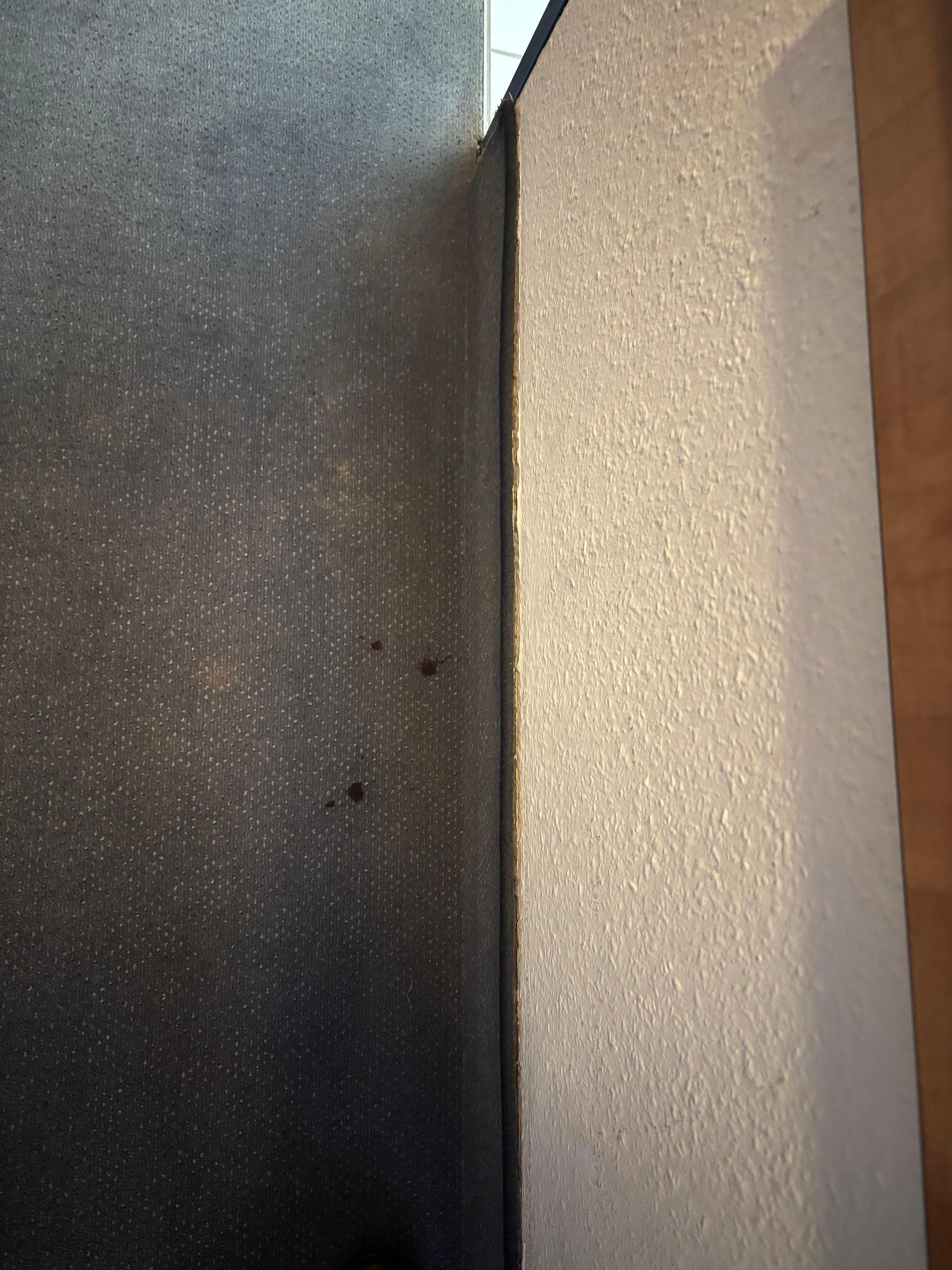 Dark spots in the carpet in front of the mirror. Blood? 