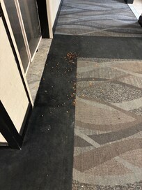 Food always in the hallways wasted.