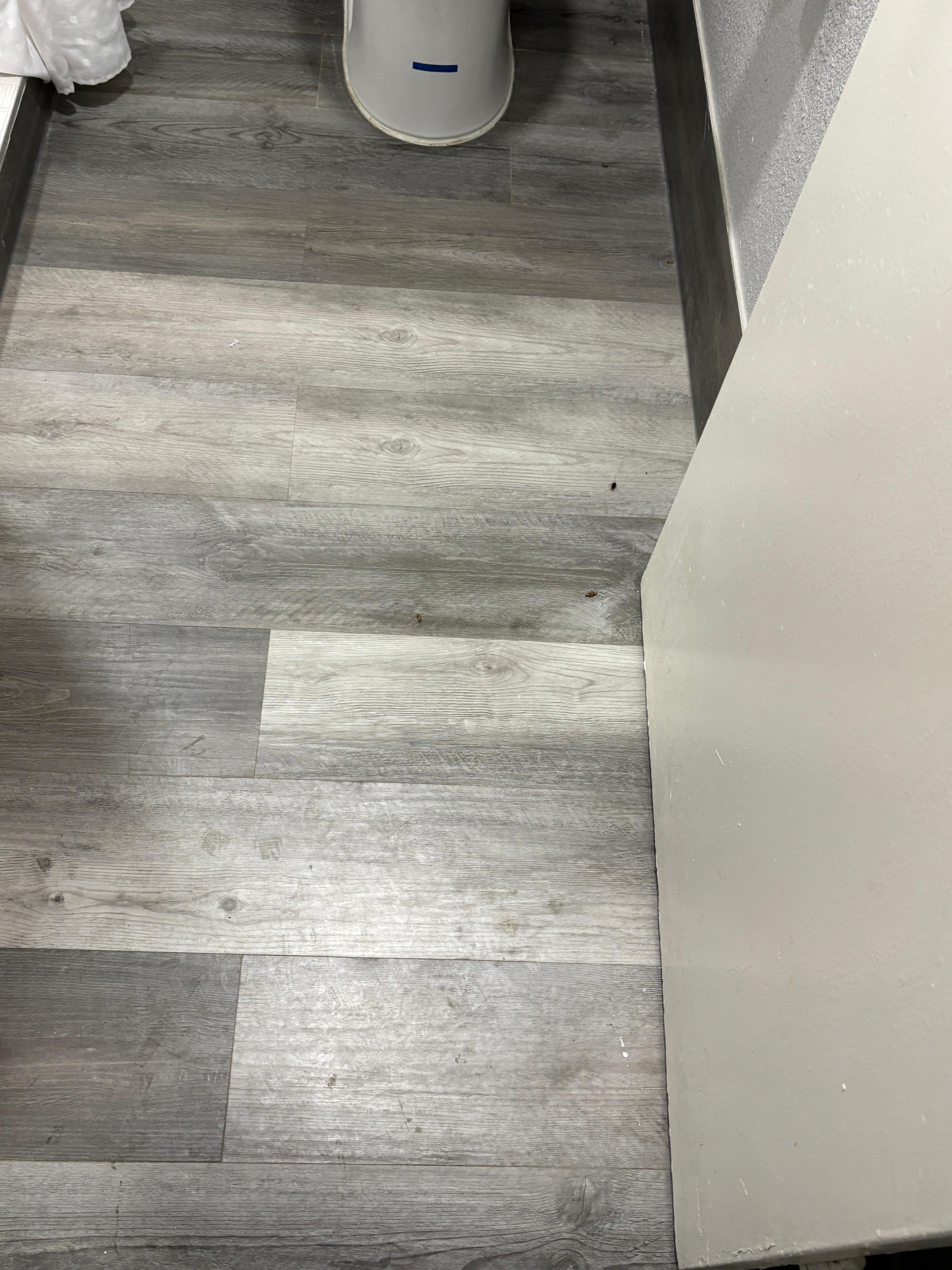 Zoom in to see the roaches in the bathroom