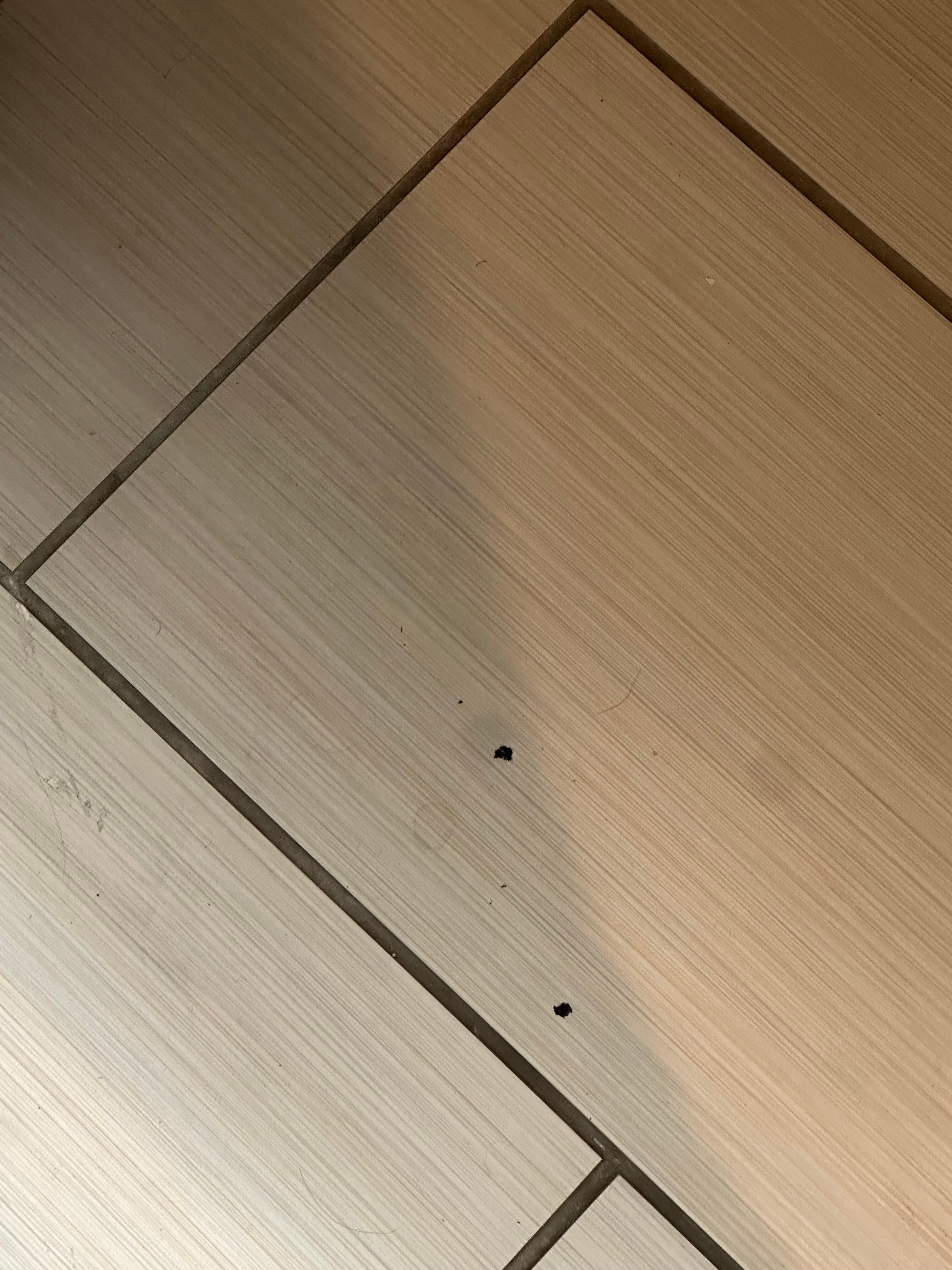 Holds in floor tiles that made it look dirty.