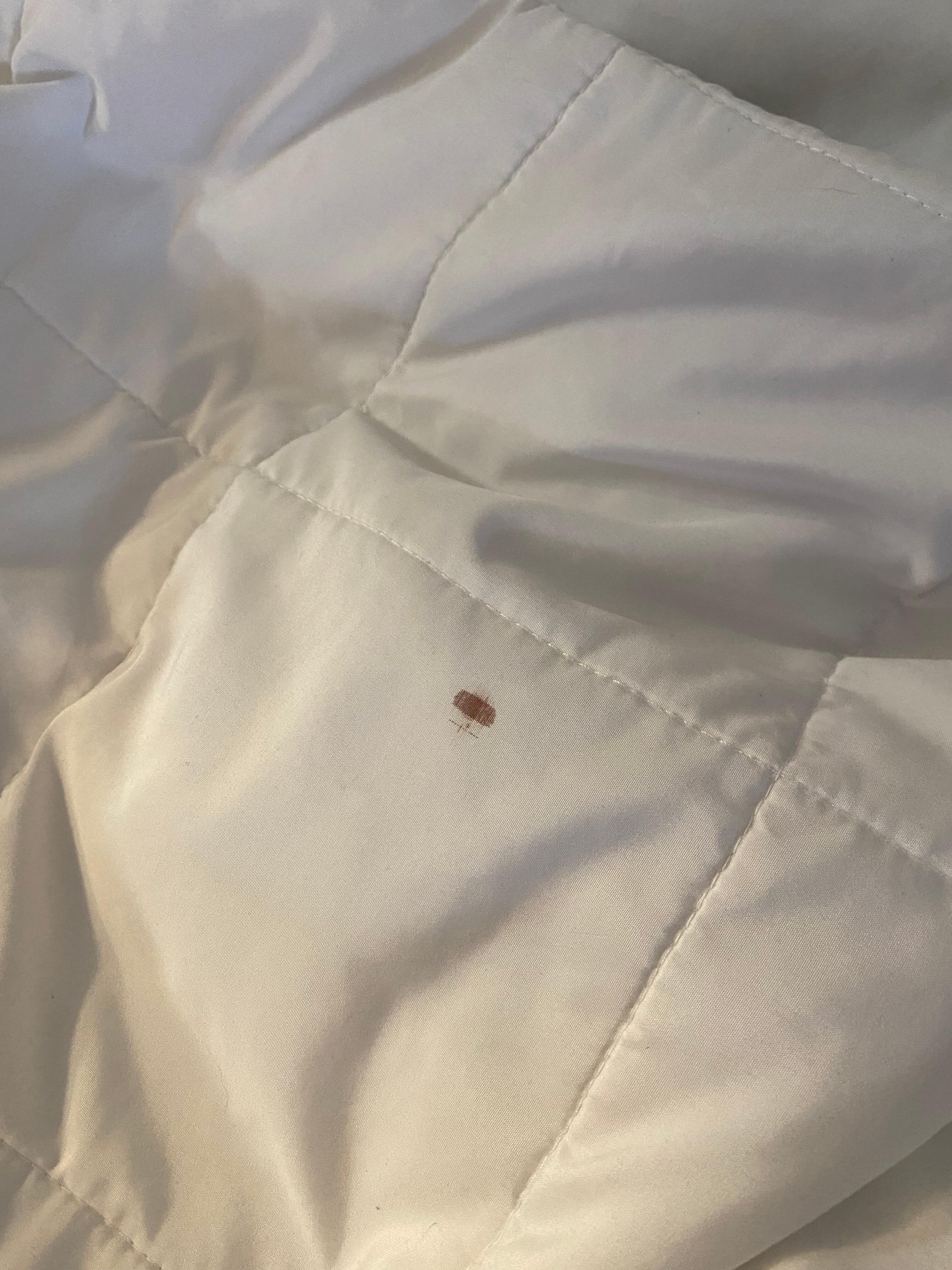 Blood on blanket