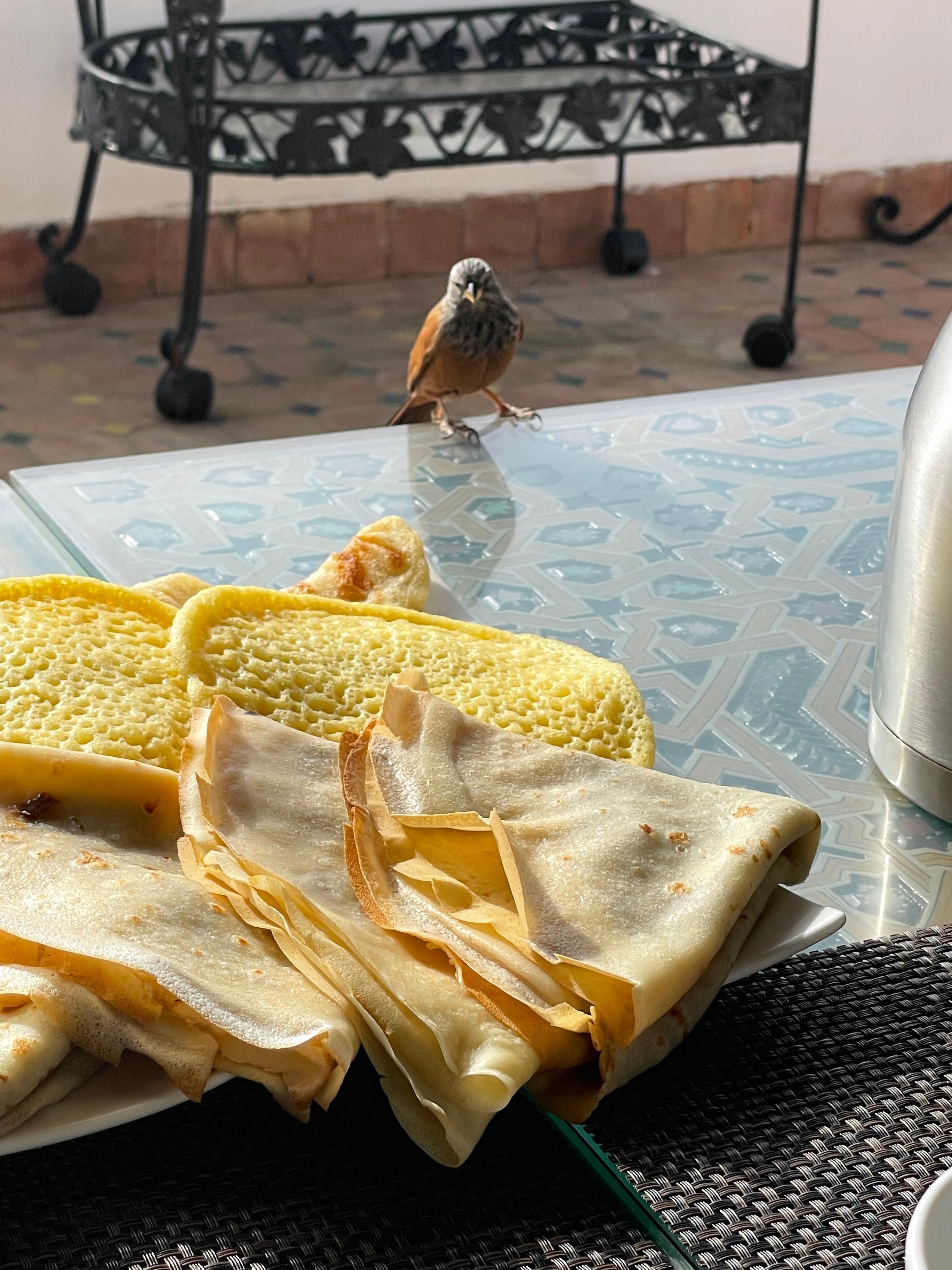 Le visiteur du matin 