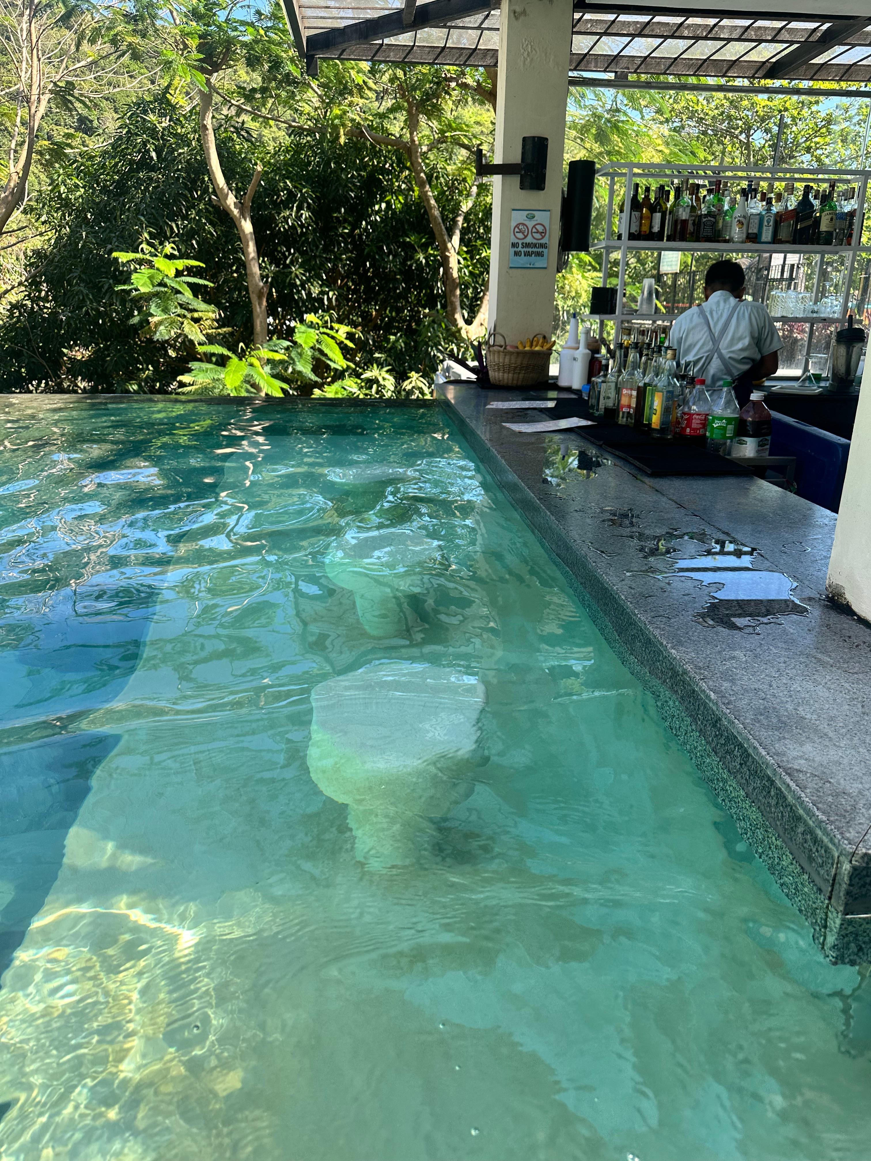Swim up bar 
