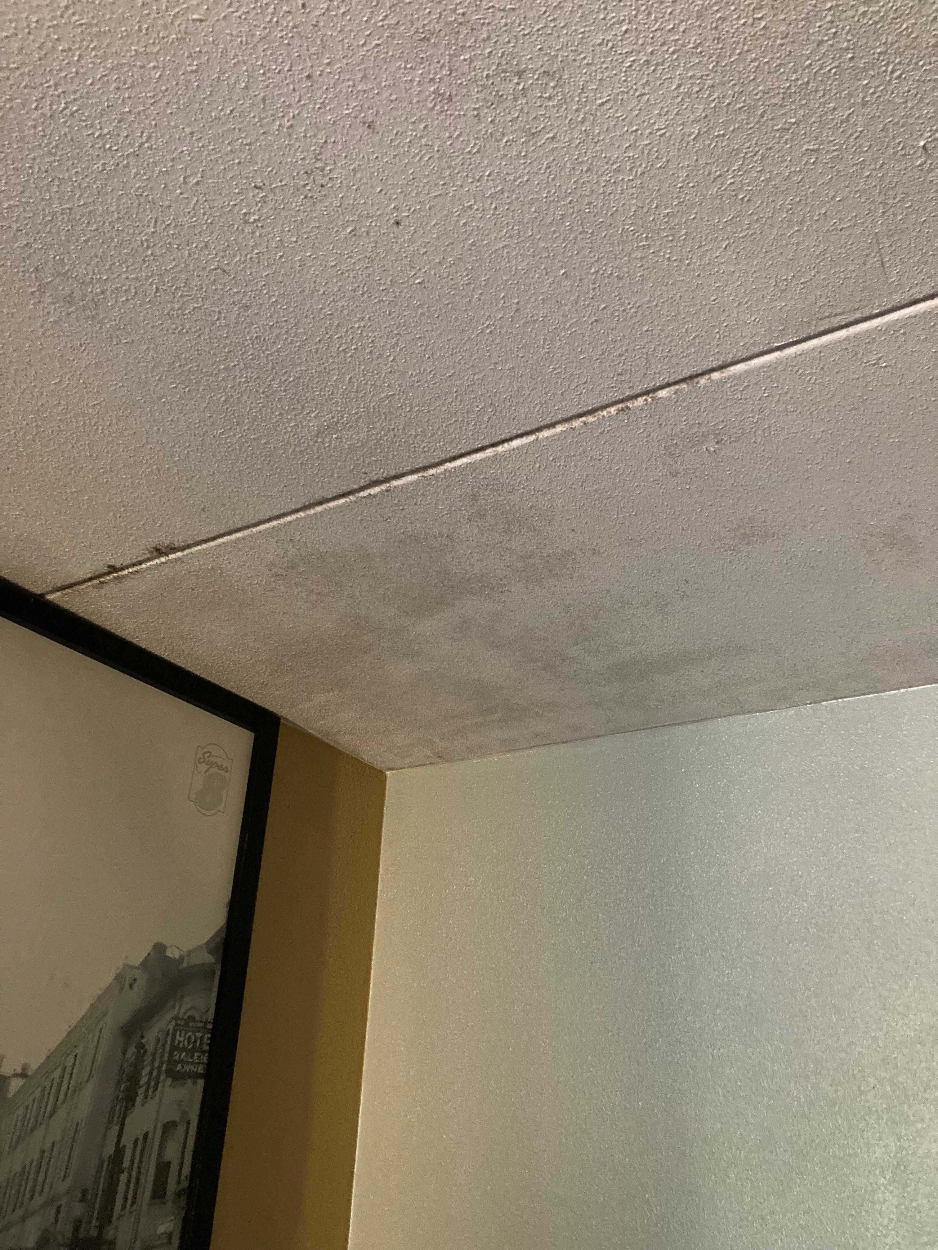 Mold on the ceiling over the bed. A/C did not work well to cool the room nor dry the humidity. 