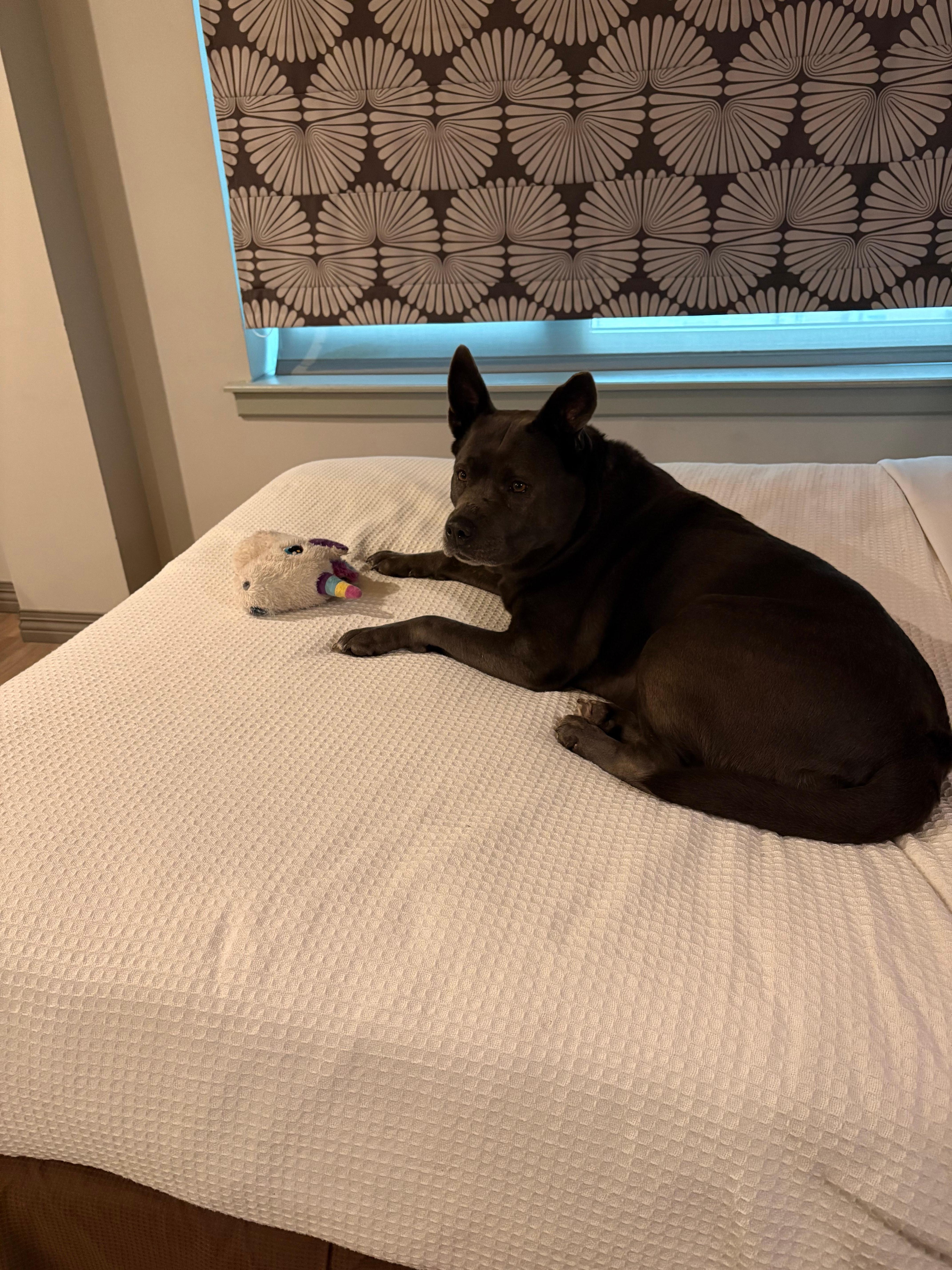 Comfortable beds/clean linens