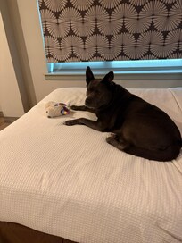 Comfortable beds/clean linens