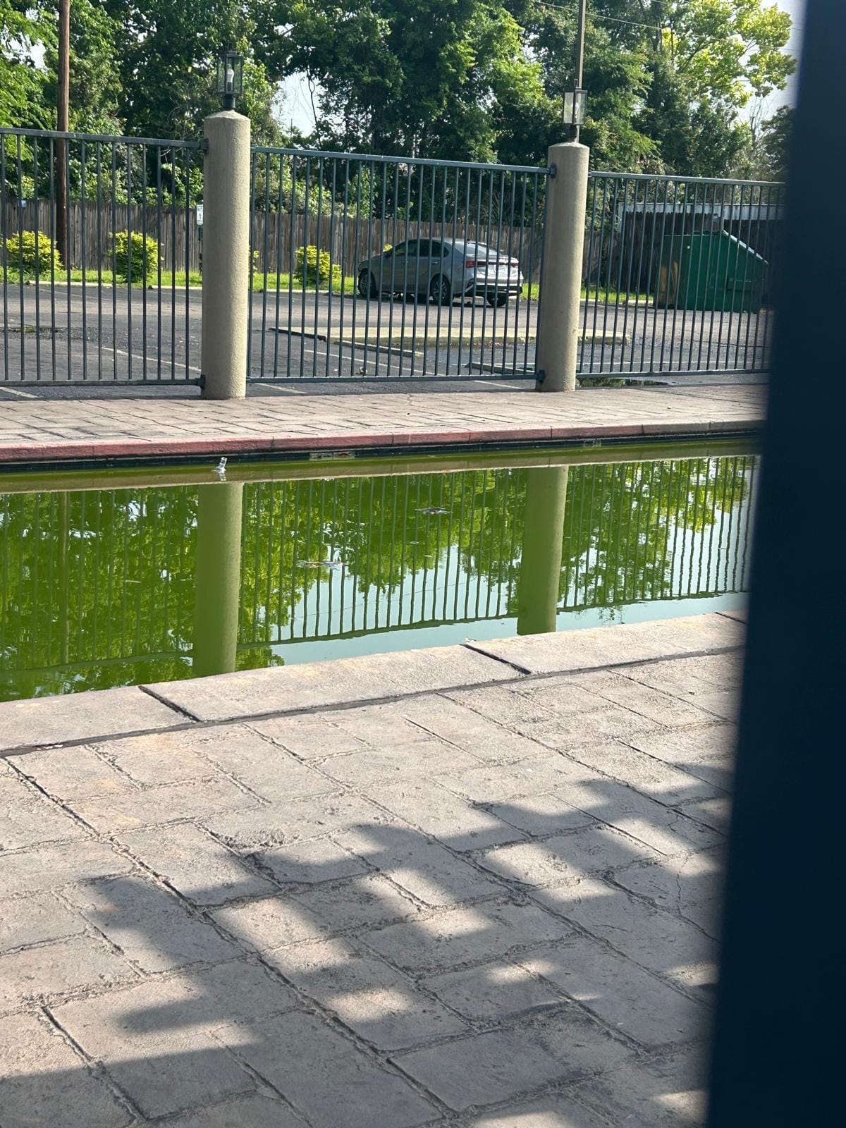 A swimming pool in front of the hotel, with impure, dirty water that is green in color, and insects and flies all around it.