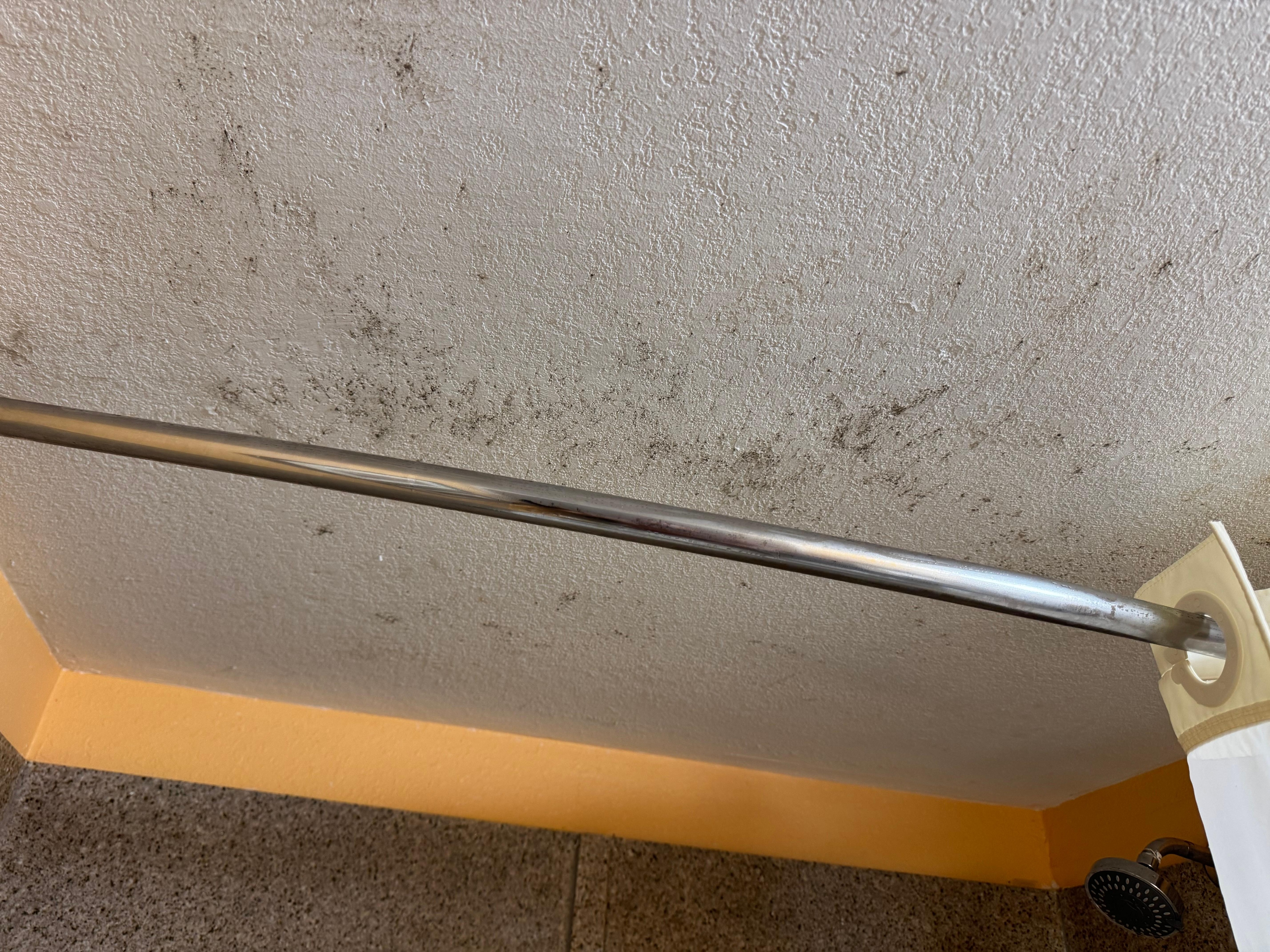 Closer pic of bathroom ceiling. 