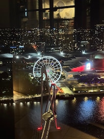 View from the sky deck