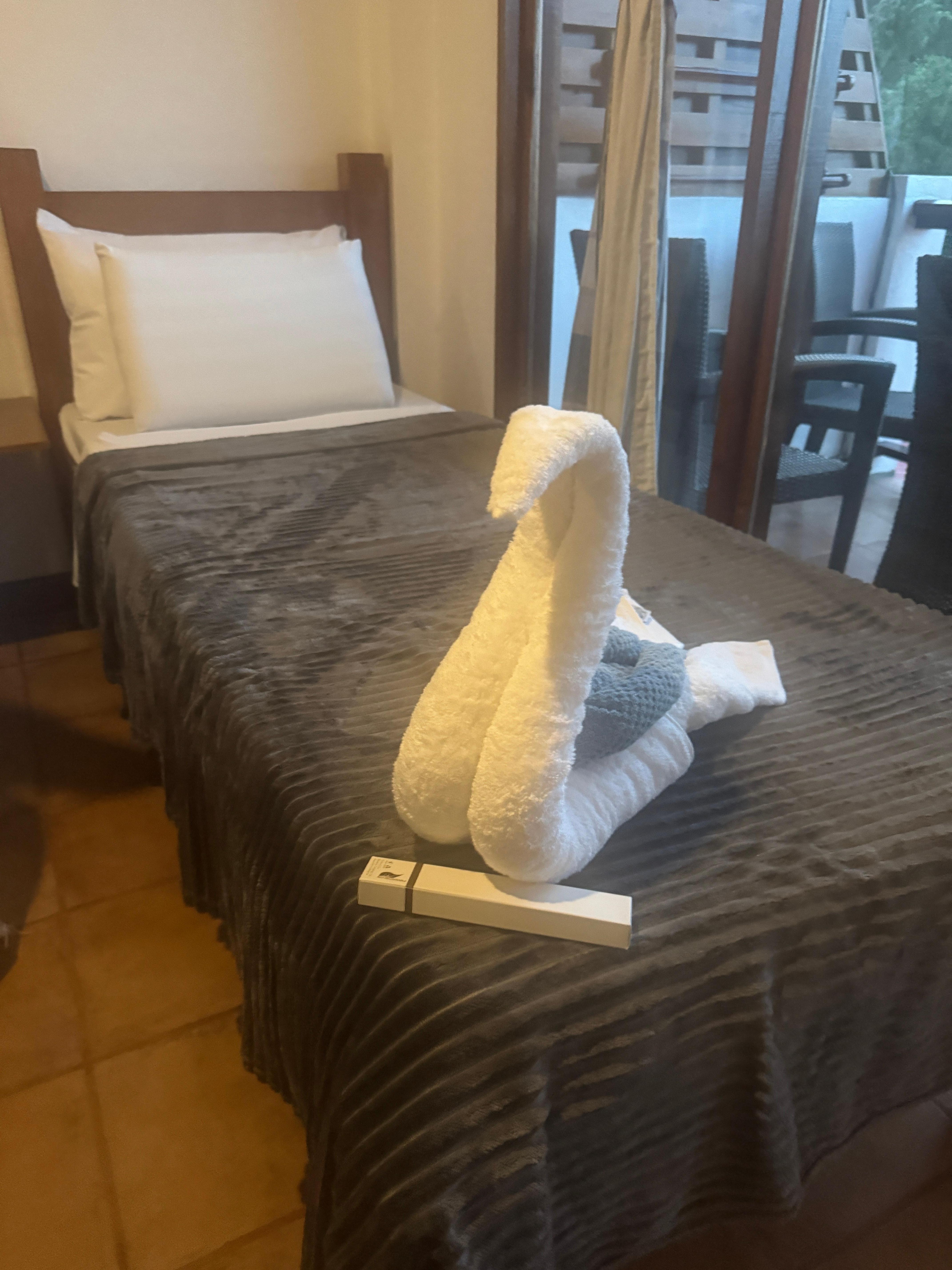 Single beds for the kids 