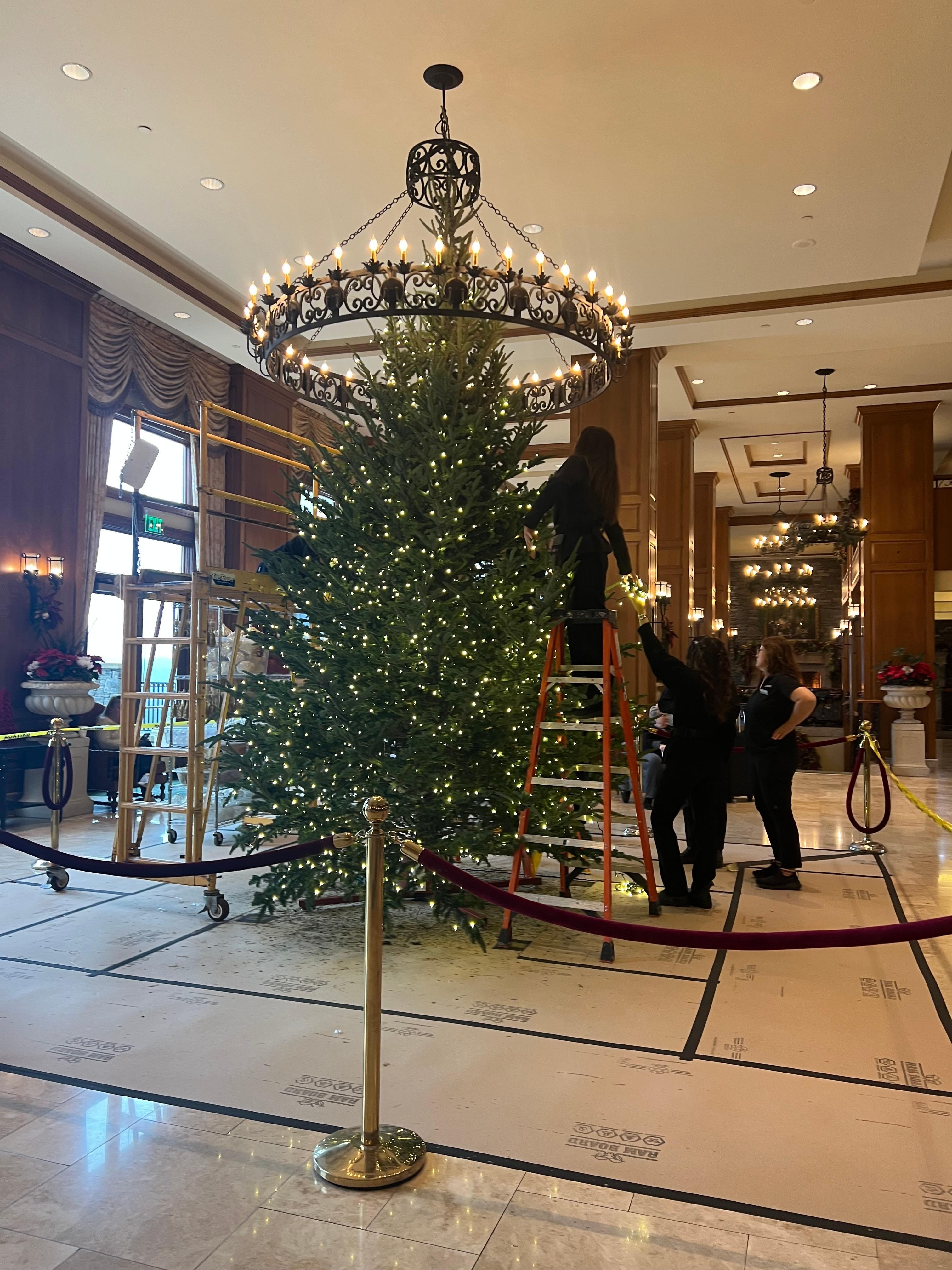 Putting up the main tree in the lobby. 