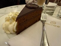 Don‘t miss a Visit at Café Sacher just round the corner and enjoy the famous coffeehouse atmosphere of Vienna