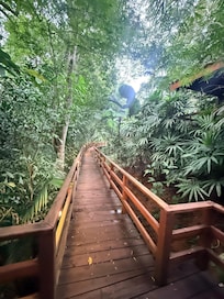 The walkway