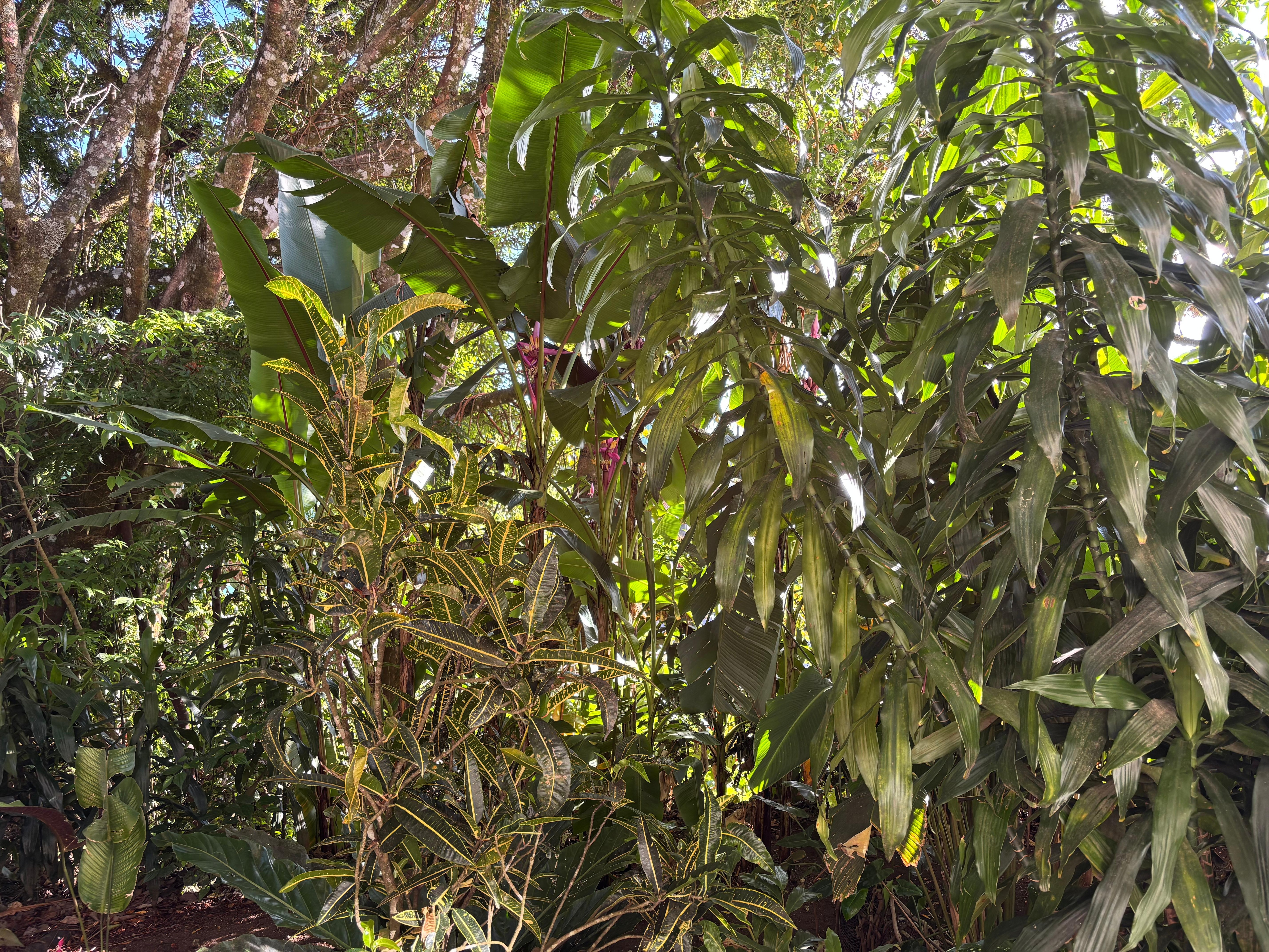 A garden view. Really?? ☹️