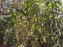 A garden view. Really?? ☹️