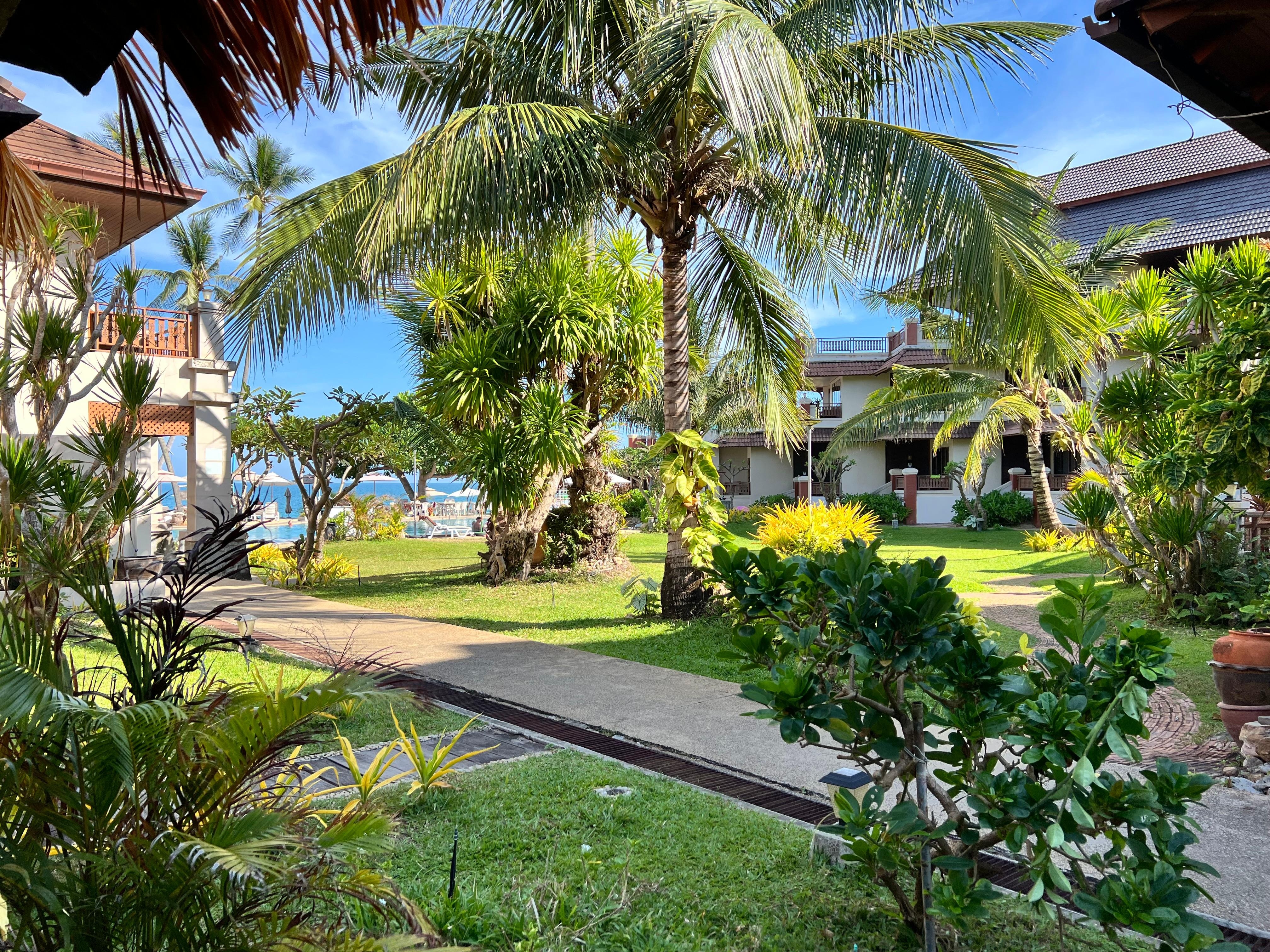 Udsigt fra vores hytte