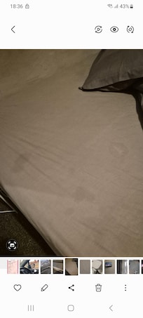 Bodily fluids on bedding