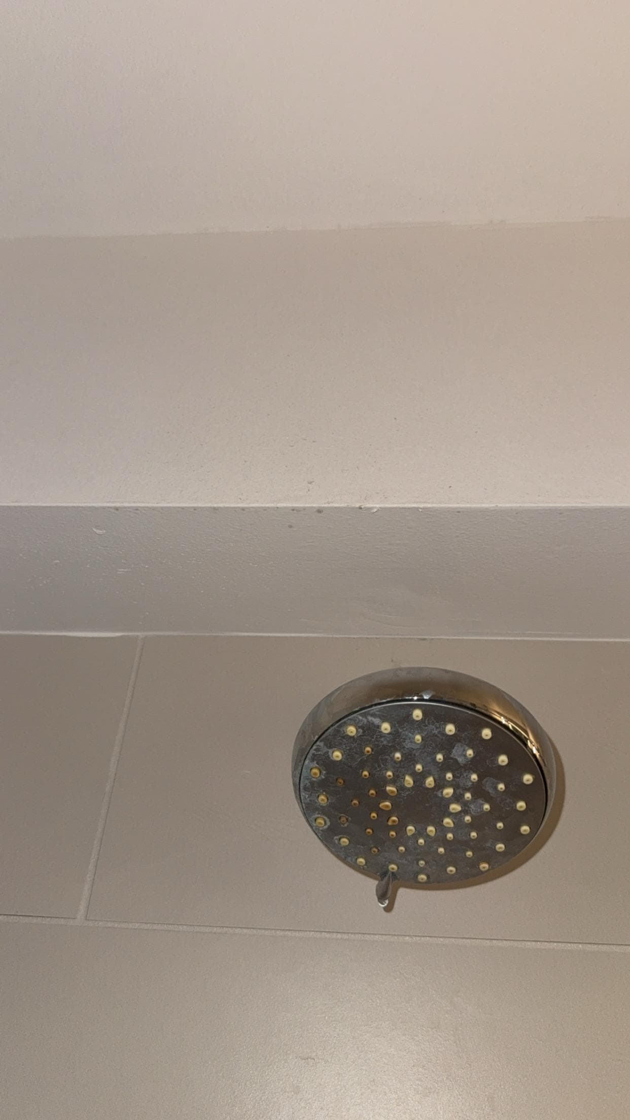 Mold over the shower head