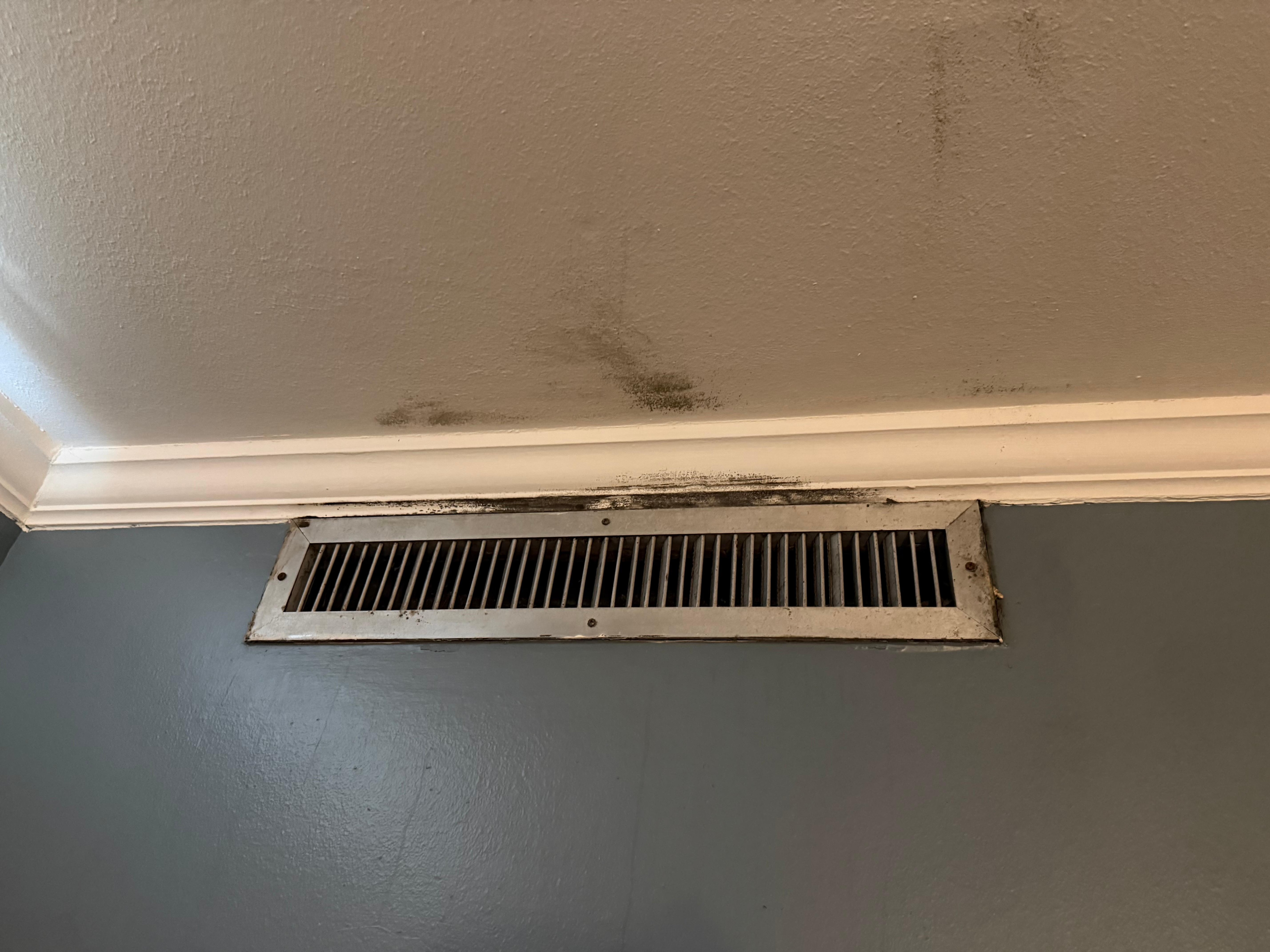 Mold in and around vent
