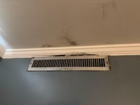 Mold in and around vent