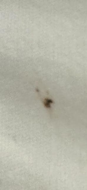 another inspect on sheet