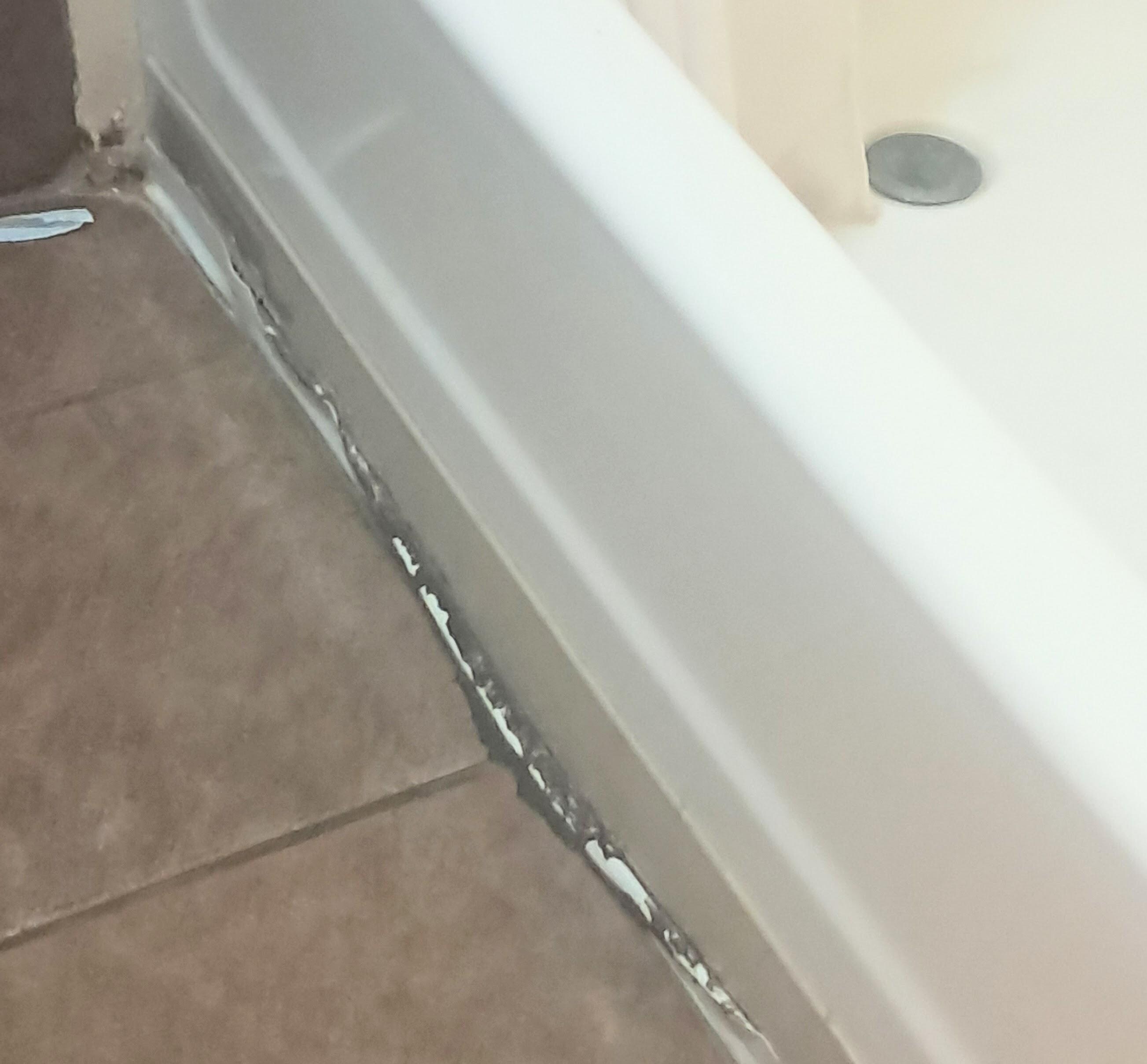 Looks like black mold the whole length of the tub. This was before the tick and first roach was found.