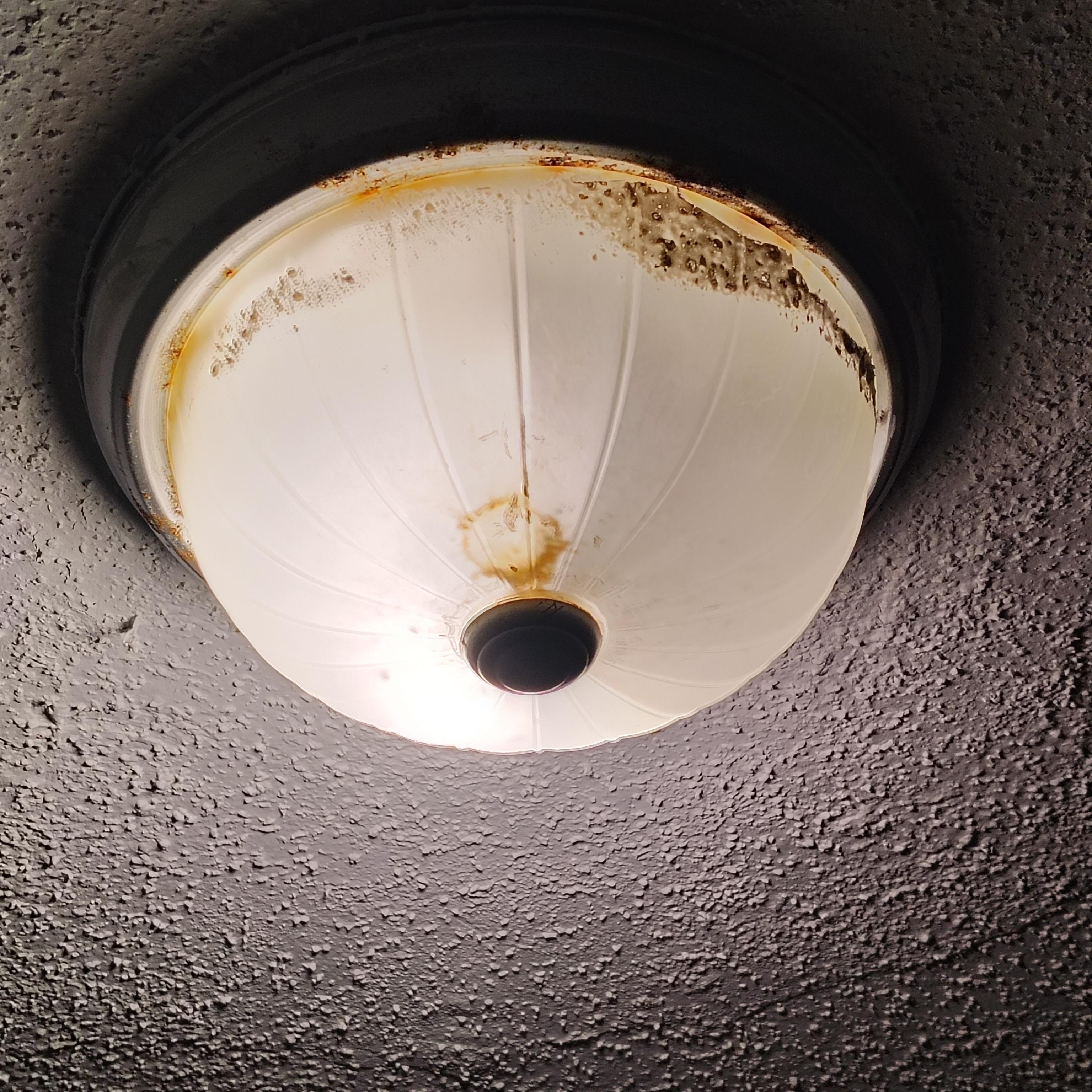 Moldy light fixtures