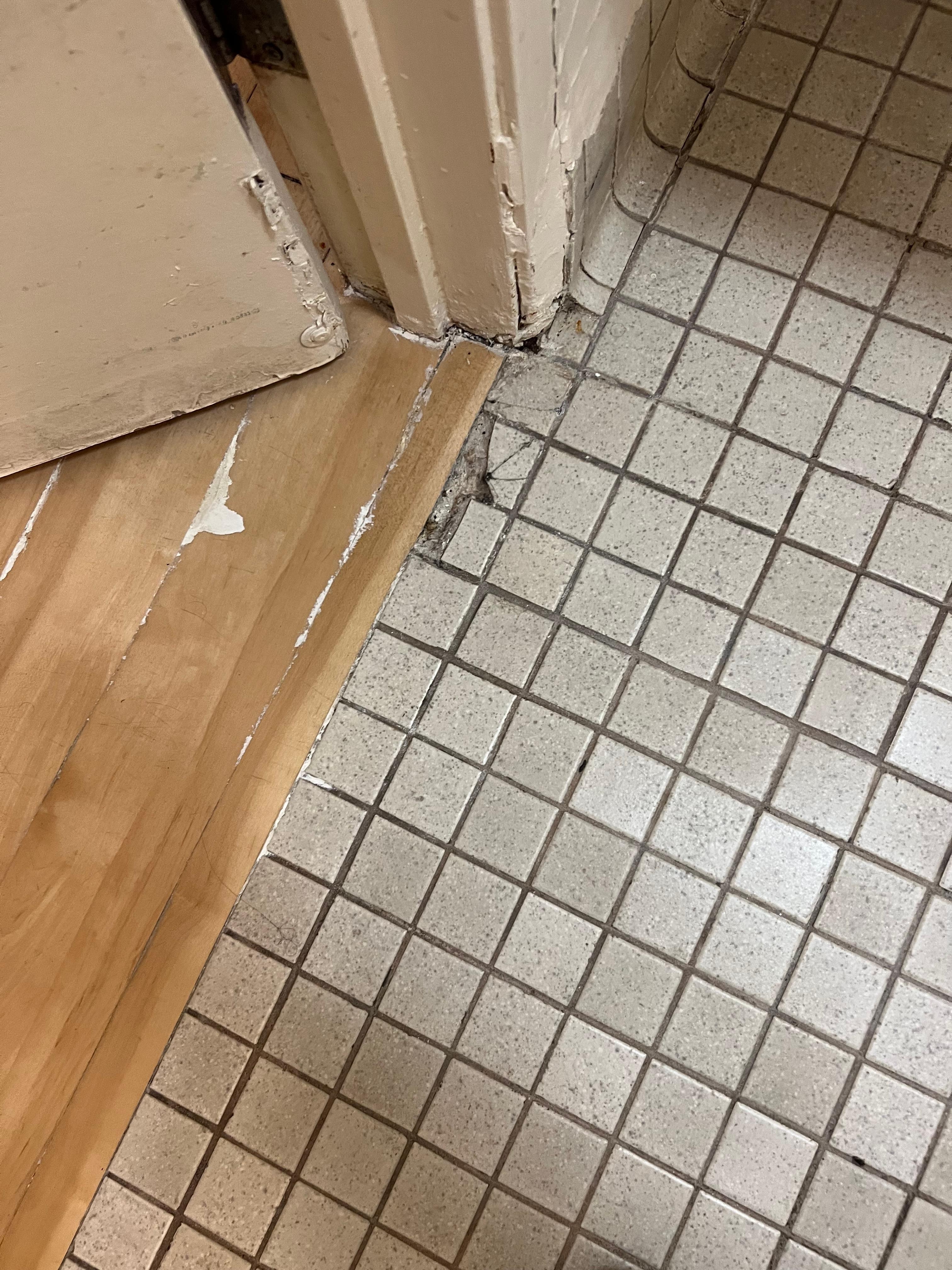 Broken bathroom tiles 