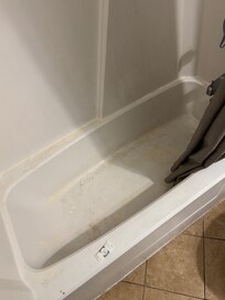 Disgusting bathtub