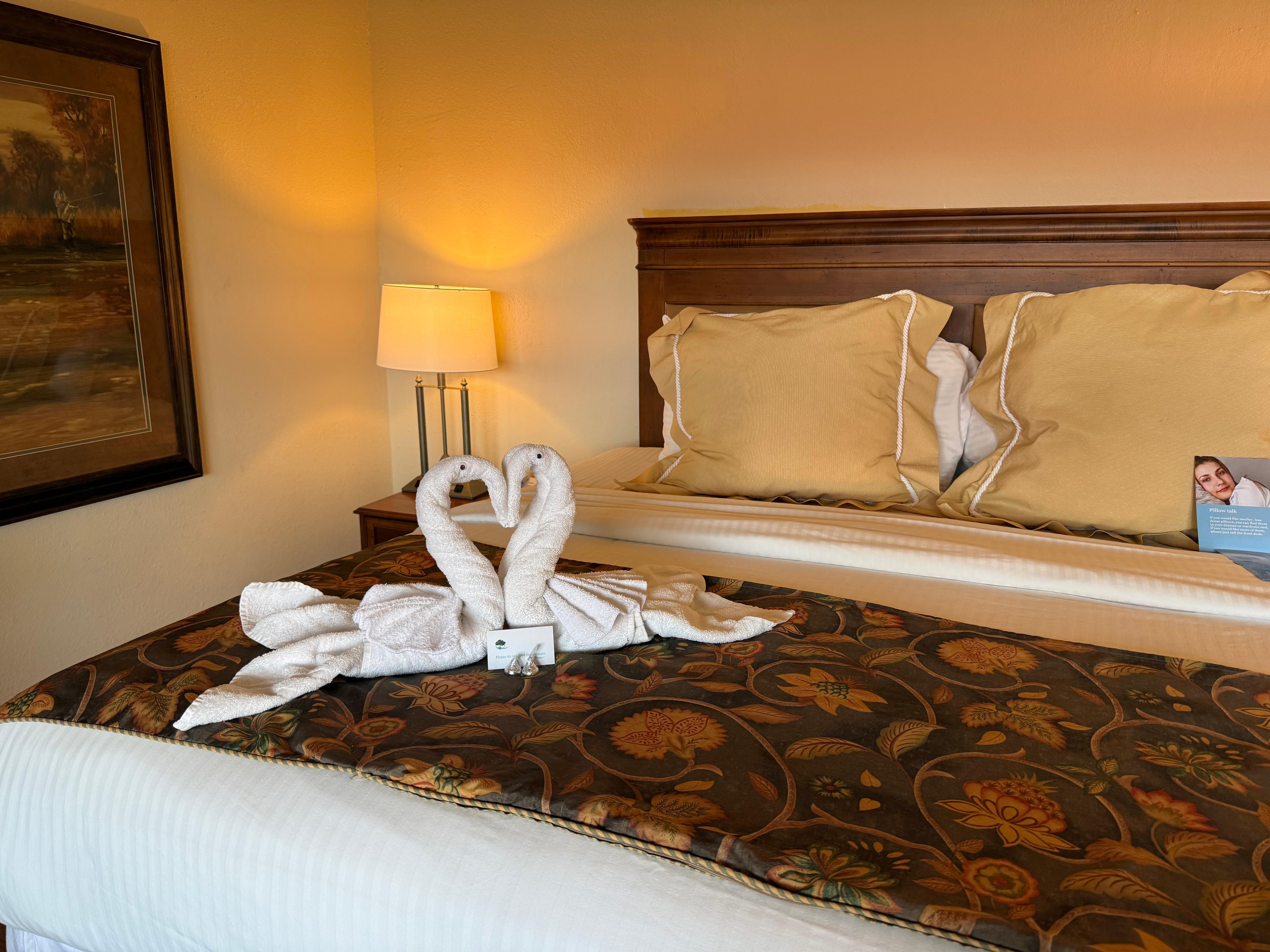 We were greeted with swans.