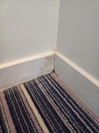 Fungo e Humidade